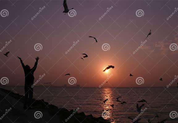 Rejoice stock photo. Image of delighted, rejoice, celebrate - 476662