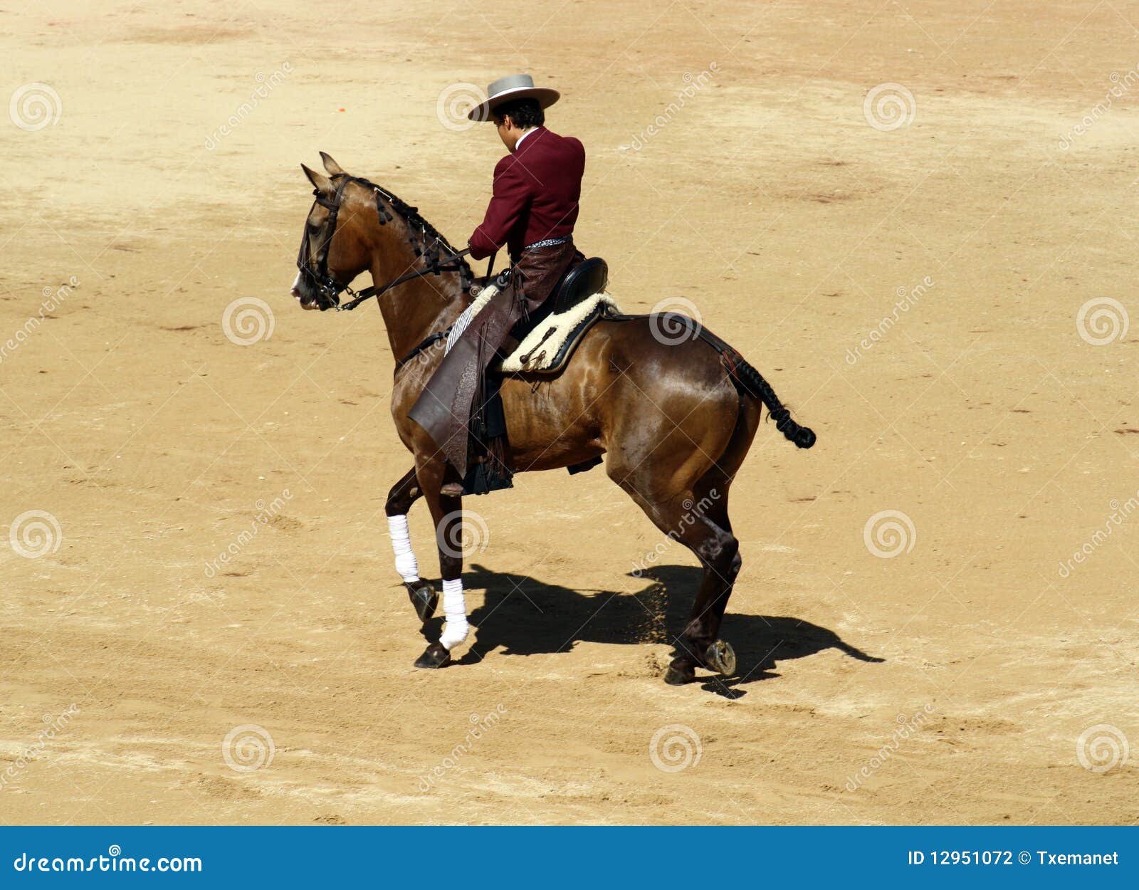Rejoneador Mounted in His Horse. Editorial Photography - Image of ...
