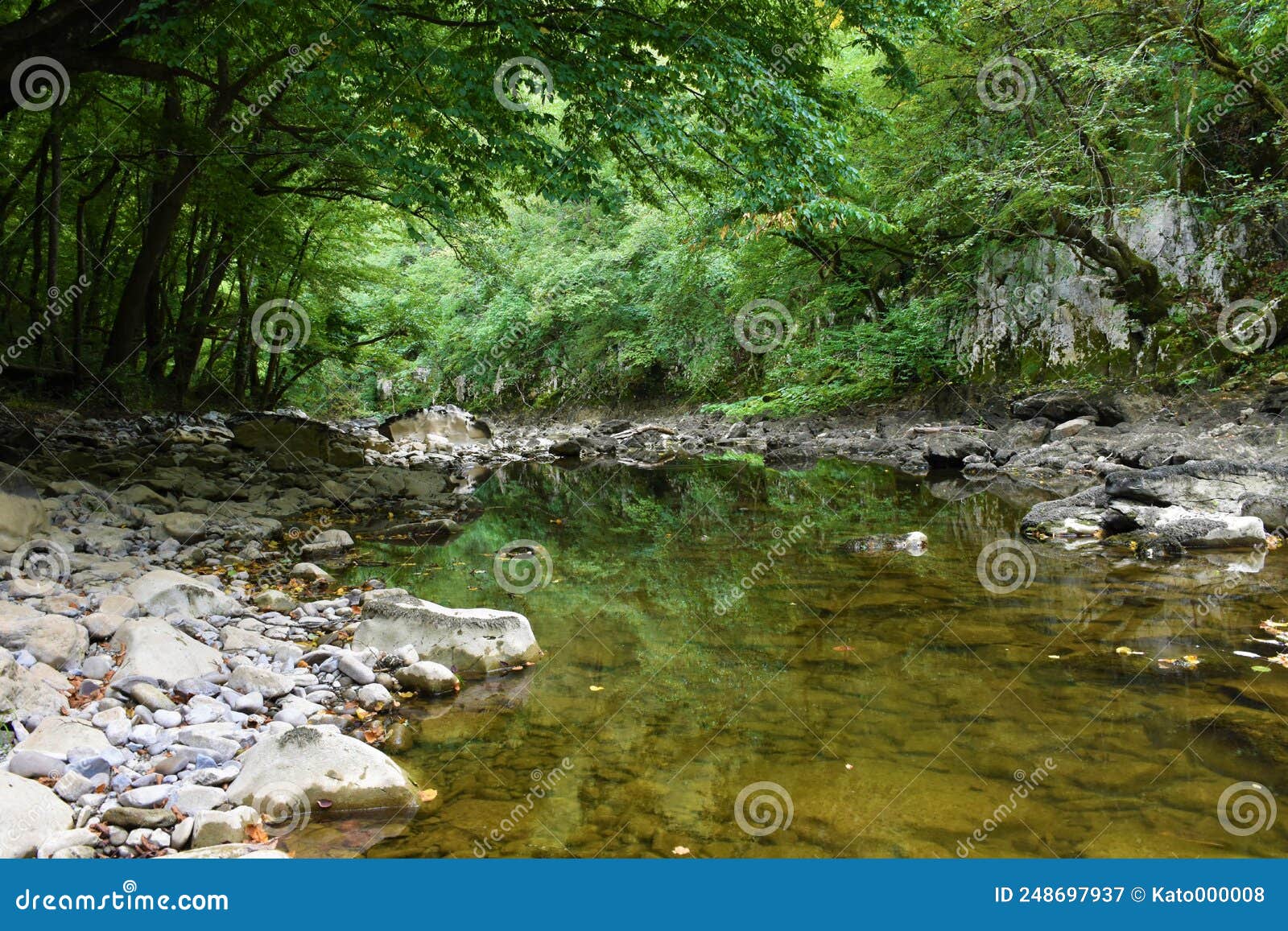 Reka River in Low Water Flow with a Reflection of the Trees in Water ...