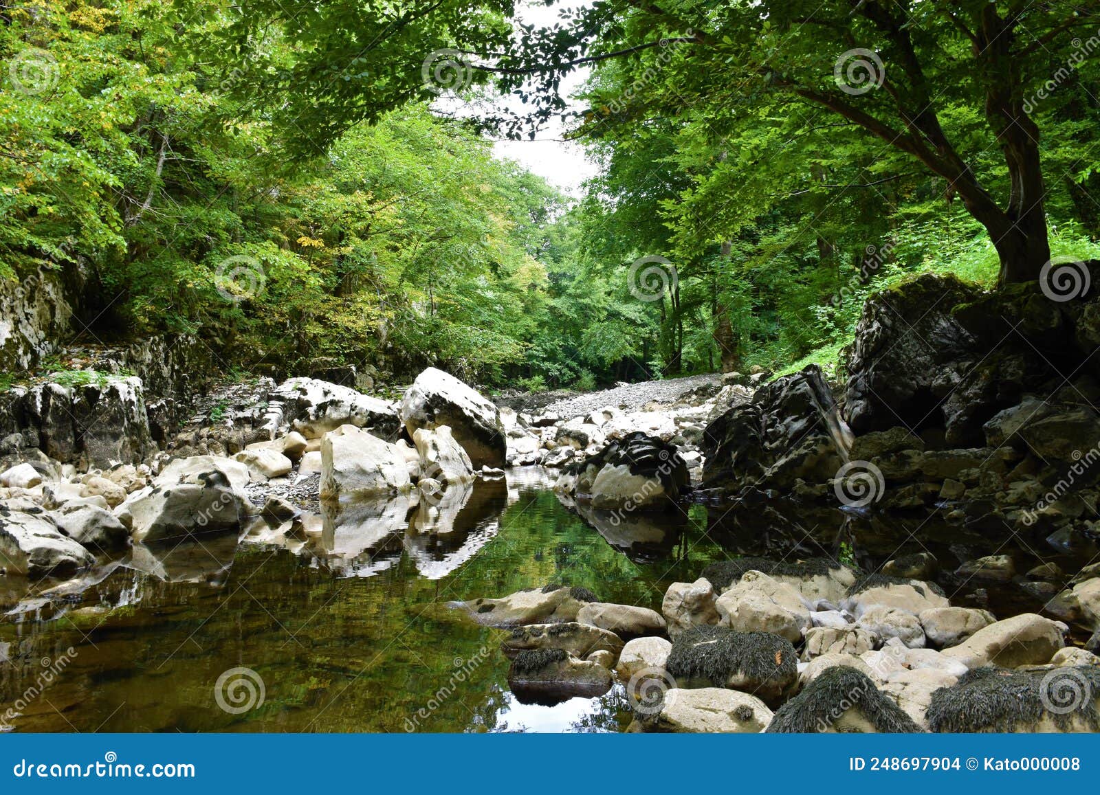 Reka River at Low Water Flow with a a Small Pool Stock Photo - Image of ...