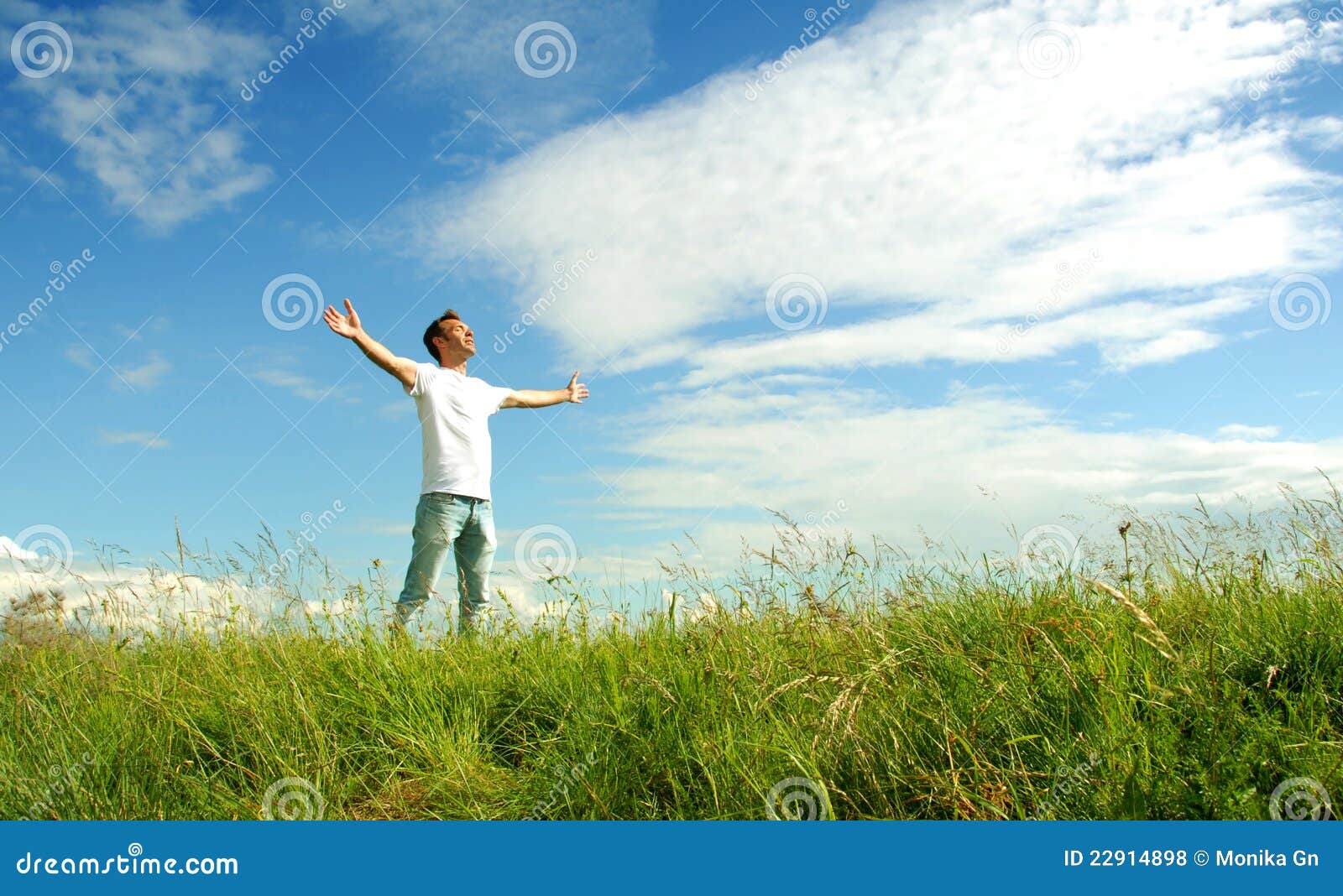 Relájese foto de archivo. Imagen de fondo, planta, prado - 22914898