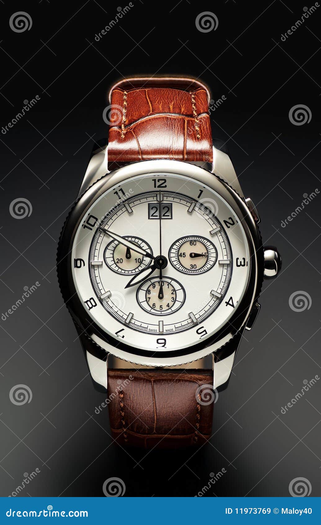 Relógio do suíço imagem de stock. Imagem de couro, cinzento - 11973769