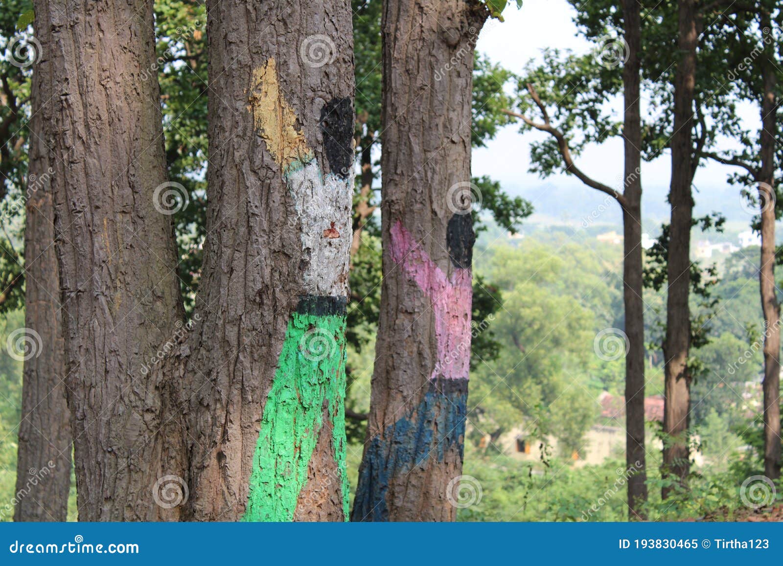 Relation between Human and Nature Stock Image - Image of afternoon ...