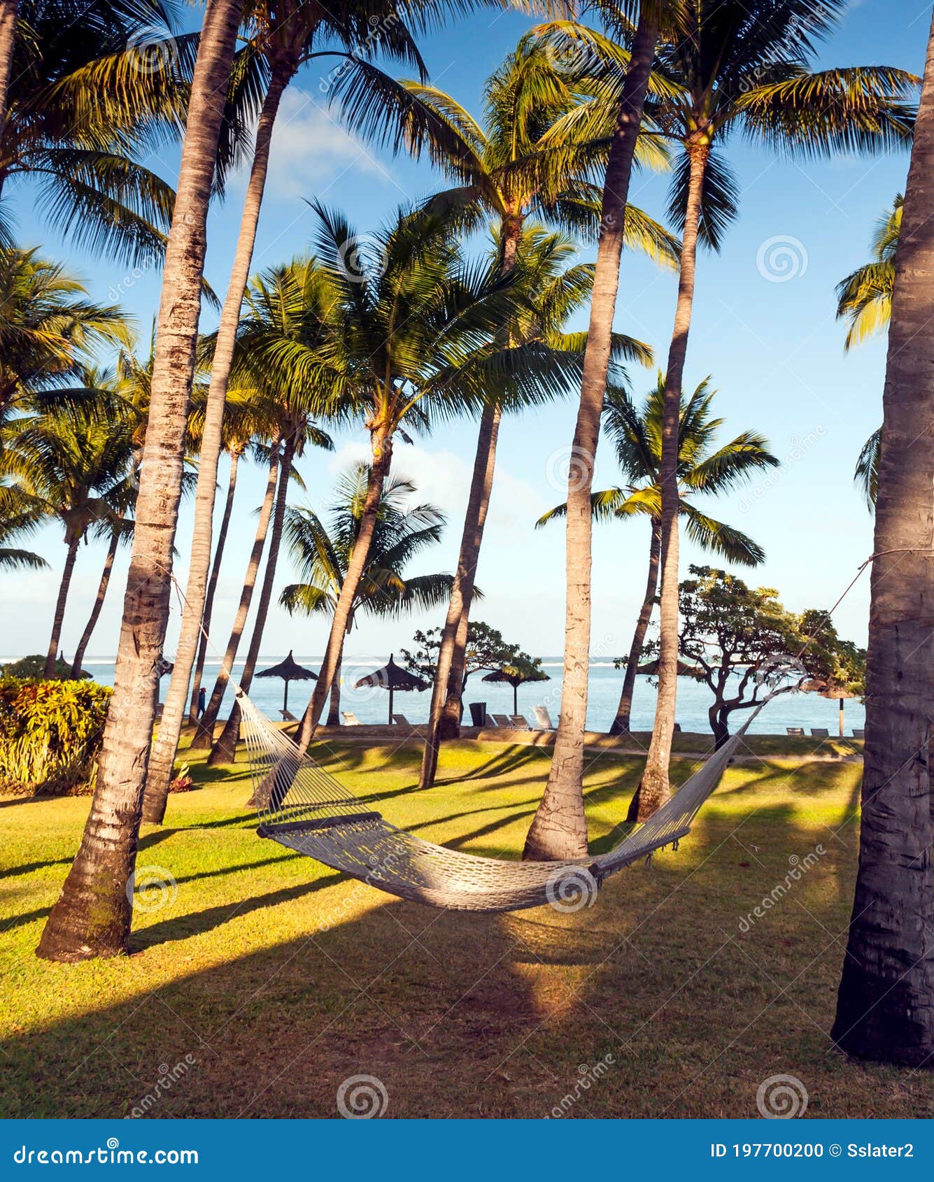 Relaxation in Mauritius stock photo. Image of sand, palm - 197700200