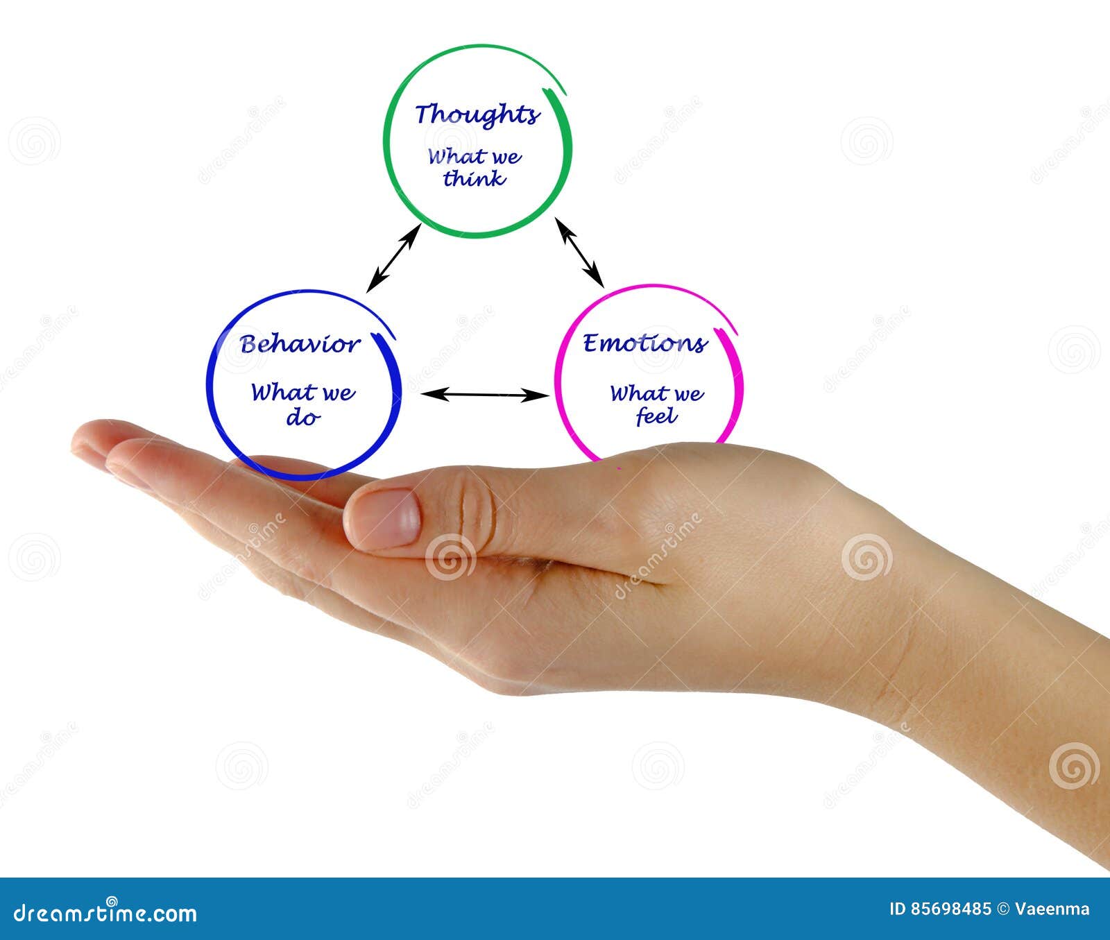 Relationship between Cognition, Emotions, and Behavior Stock Image ...