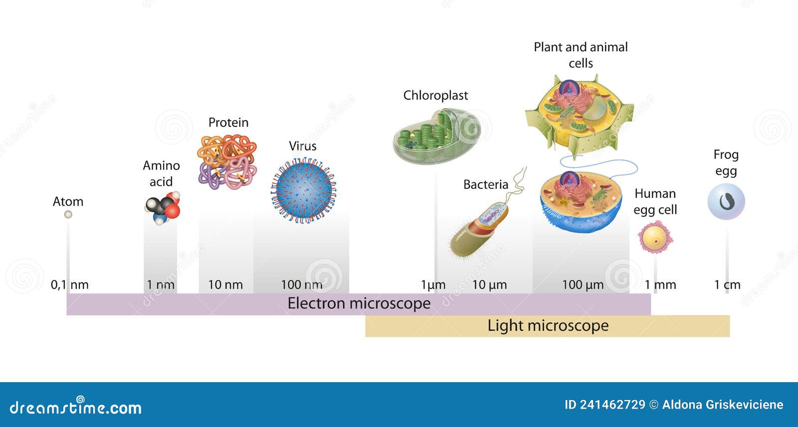 Logarithmic Diagram Icon. Detailed Set Of Charts & Diagramms Icons ...