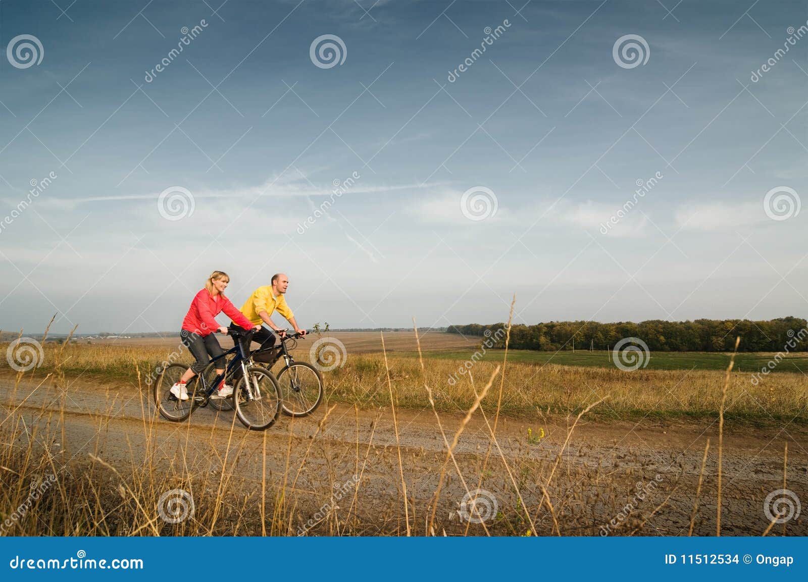 Relax biking stock photo. Image of park, travel, exercising - 11512534