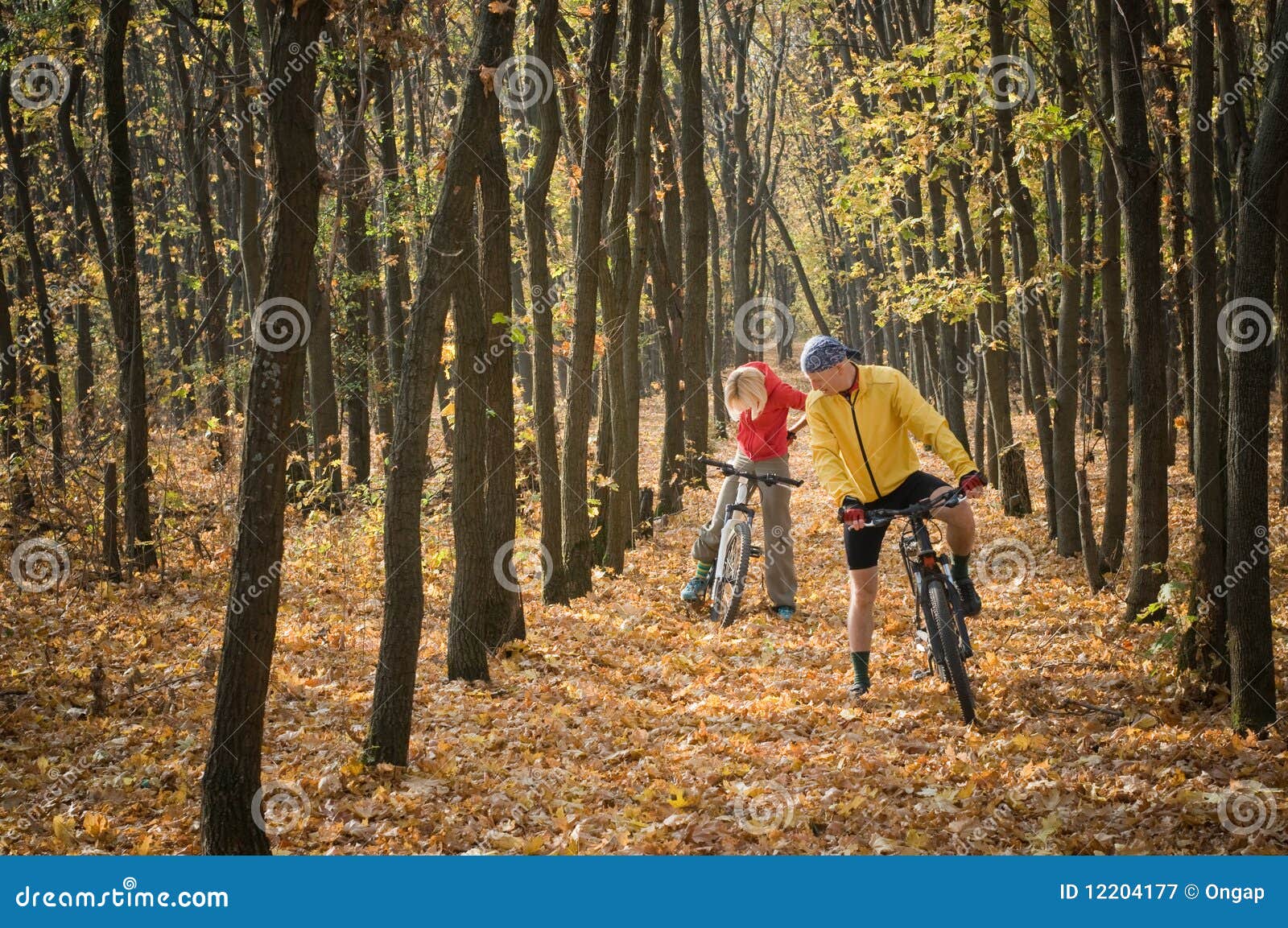 Relax biking stock image. Image of biking, maple, outdoors - 12204177