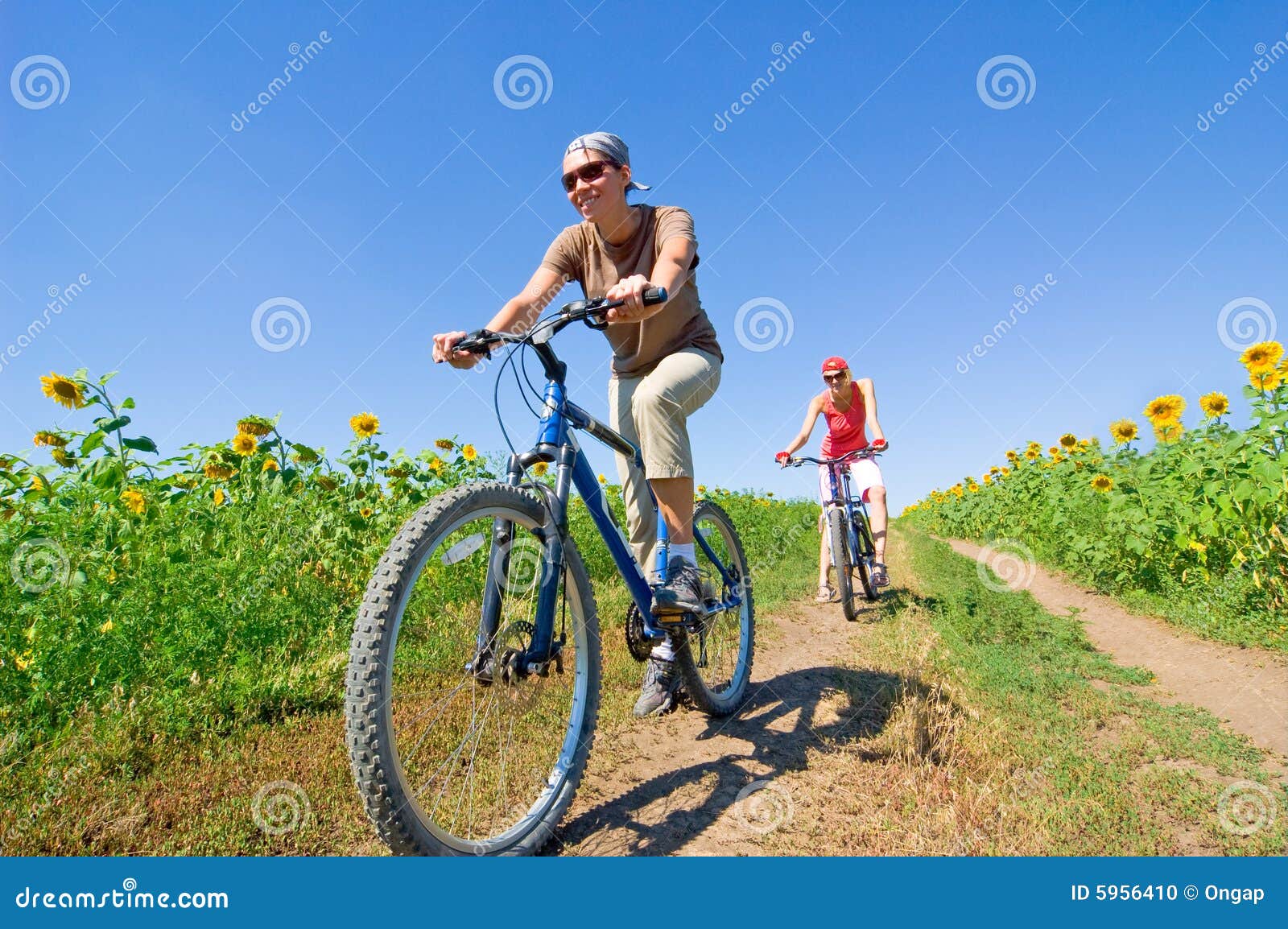 Relax biking stock photo. Image of sunflower, togetherness - 5956410