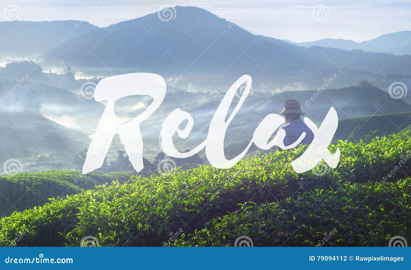 Relax Calm Chill Life Resting Vacation Wellness Concept Stock Photo ...