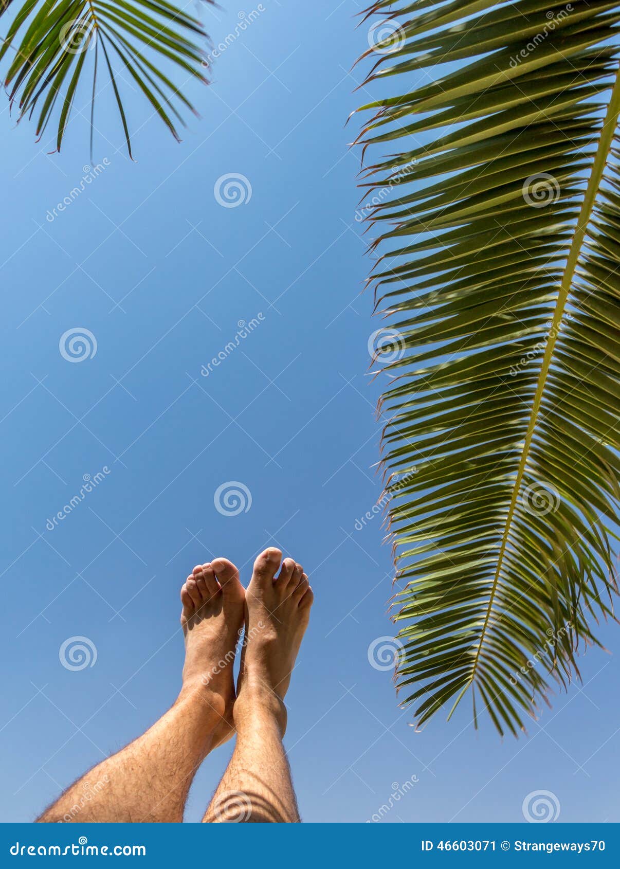 Relax chillax stock image. Image of tree, chill, rest - 46603071