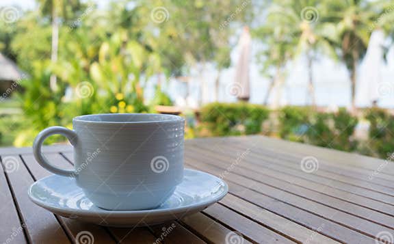 Relax with coffee stock photo. Image of nature, composite - 67403284