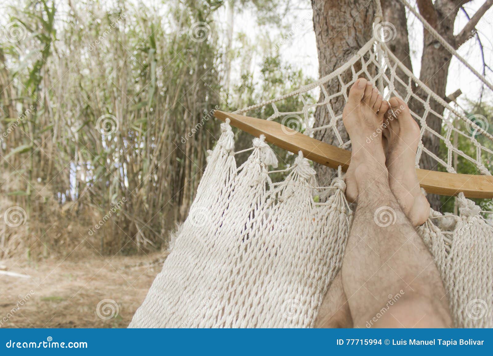 Wobbling Legs Stock Photos - Free & Royalty-Free Stock Photos from ...