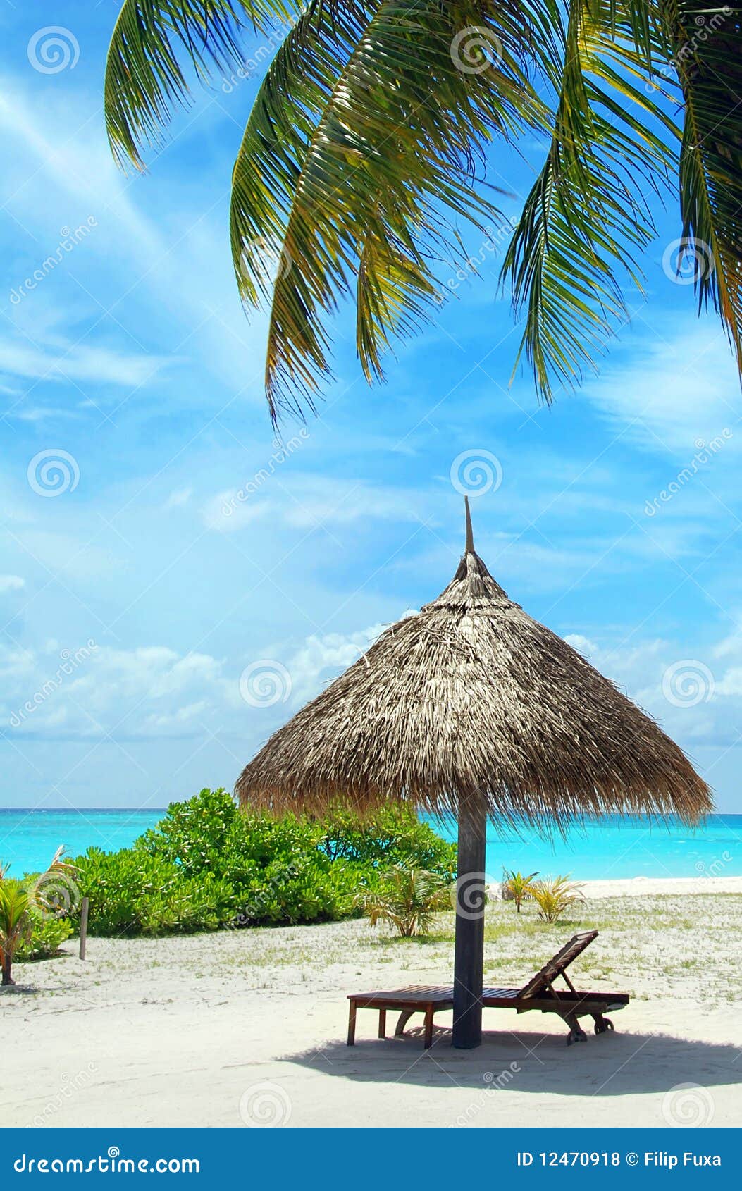 Relax in the Maldives stock photo. Image of relaxation - 12470918