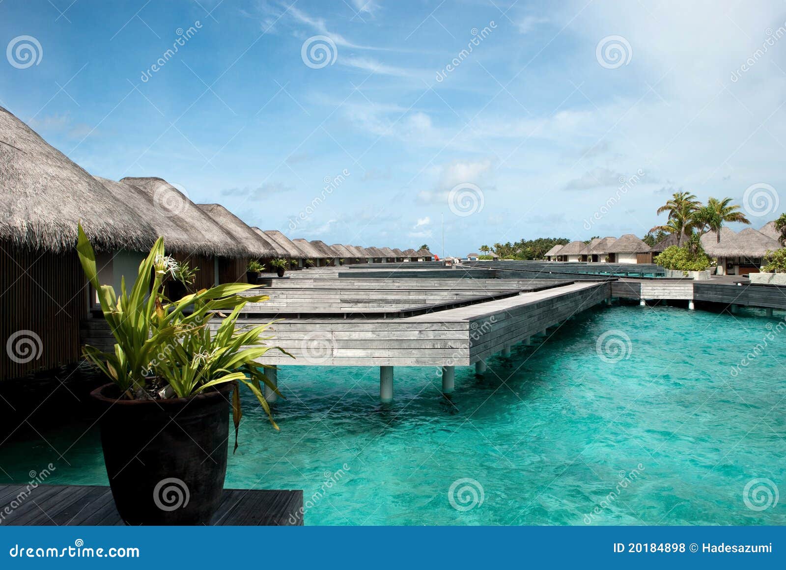Relax in maldives stock photo. Image of water, private - 20184898