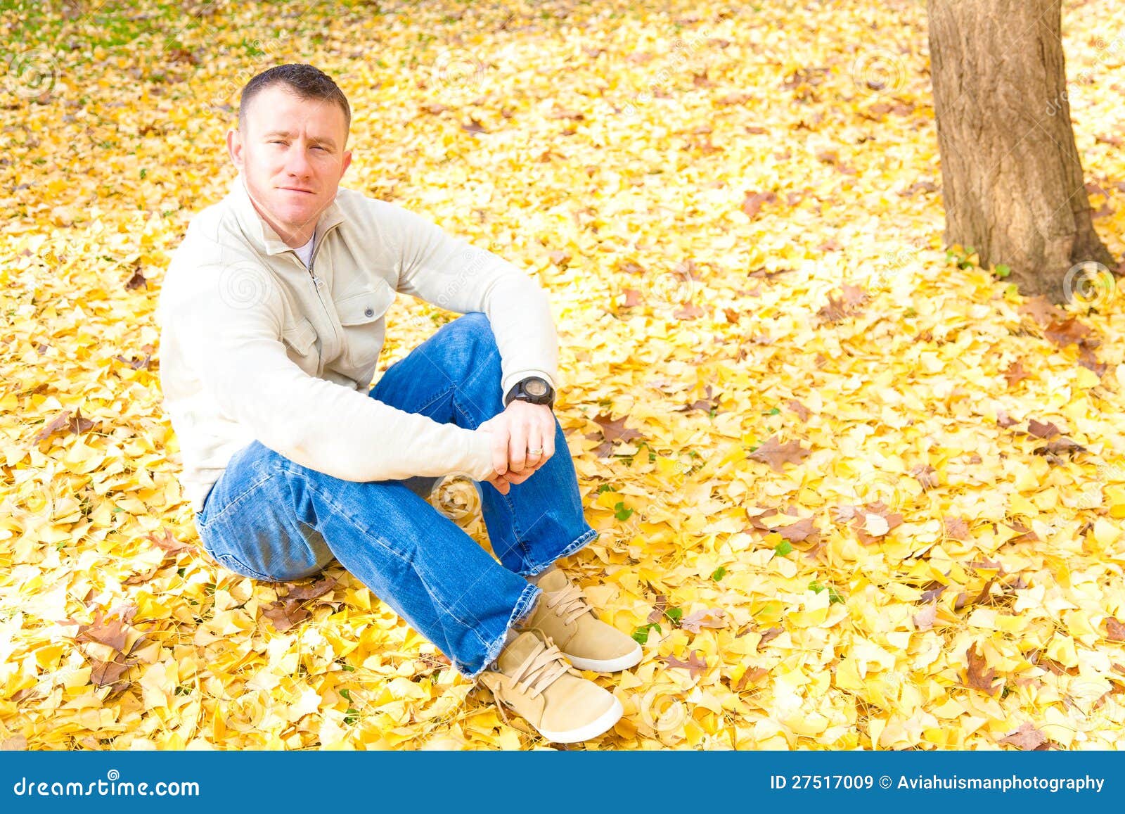 Relax with Me stock image. Image of leaves, foliage, autumn - 27517009