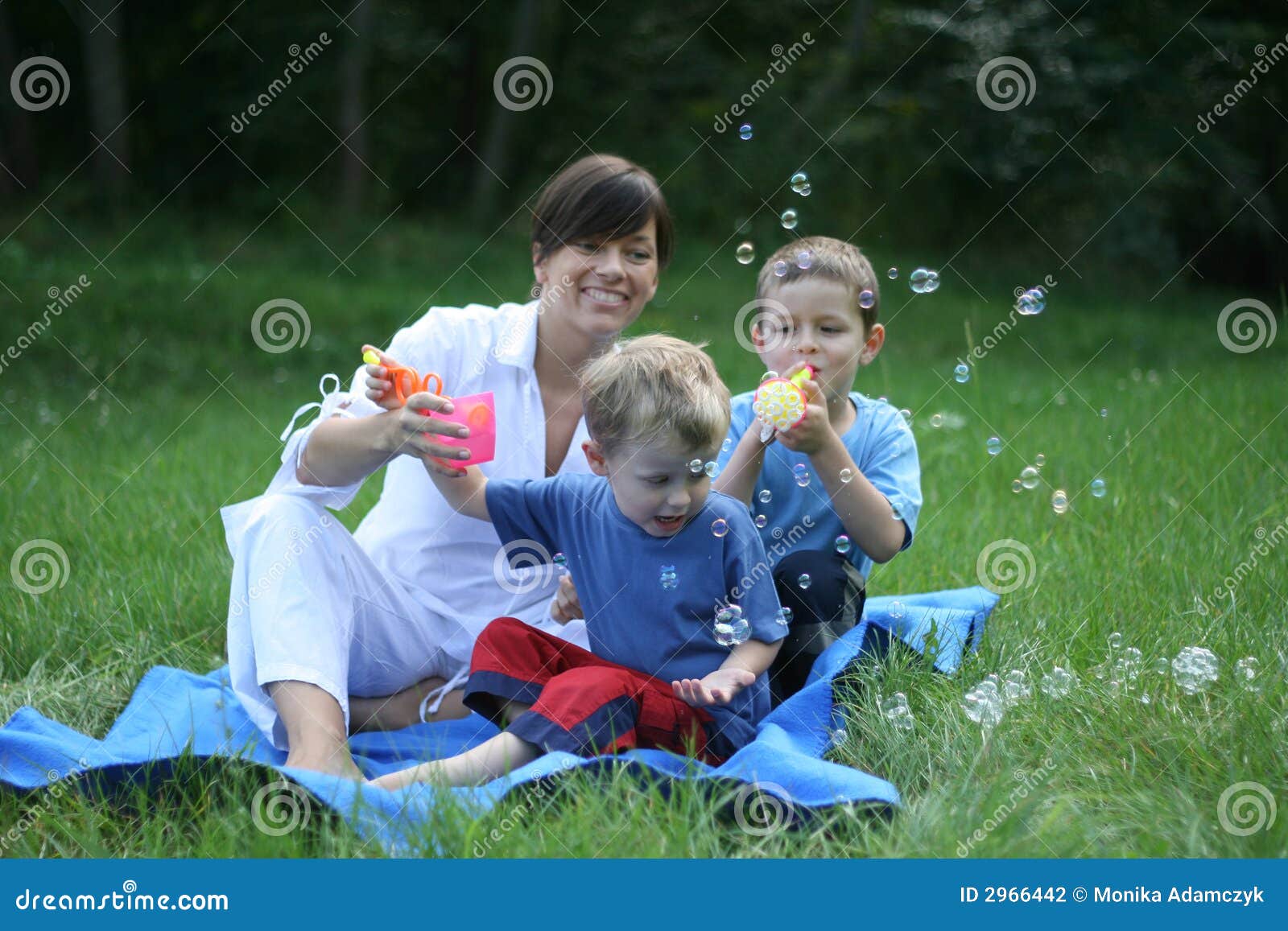Relax outside stock photo. Image of mother, boys, meadow - 2966442