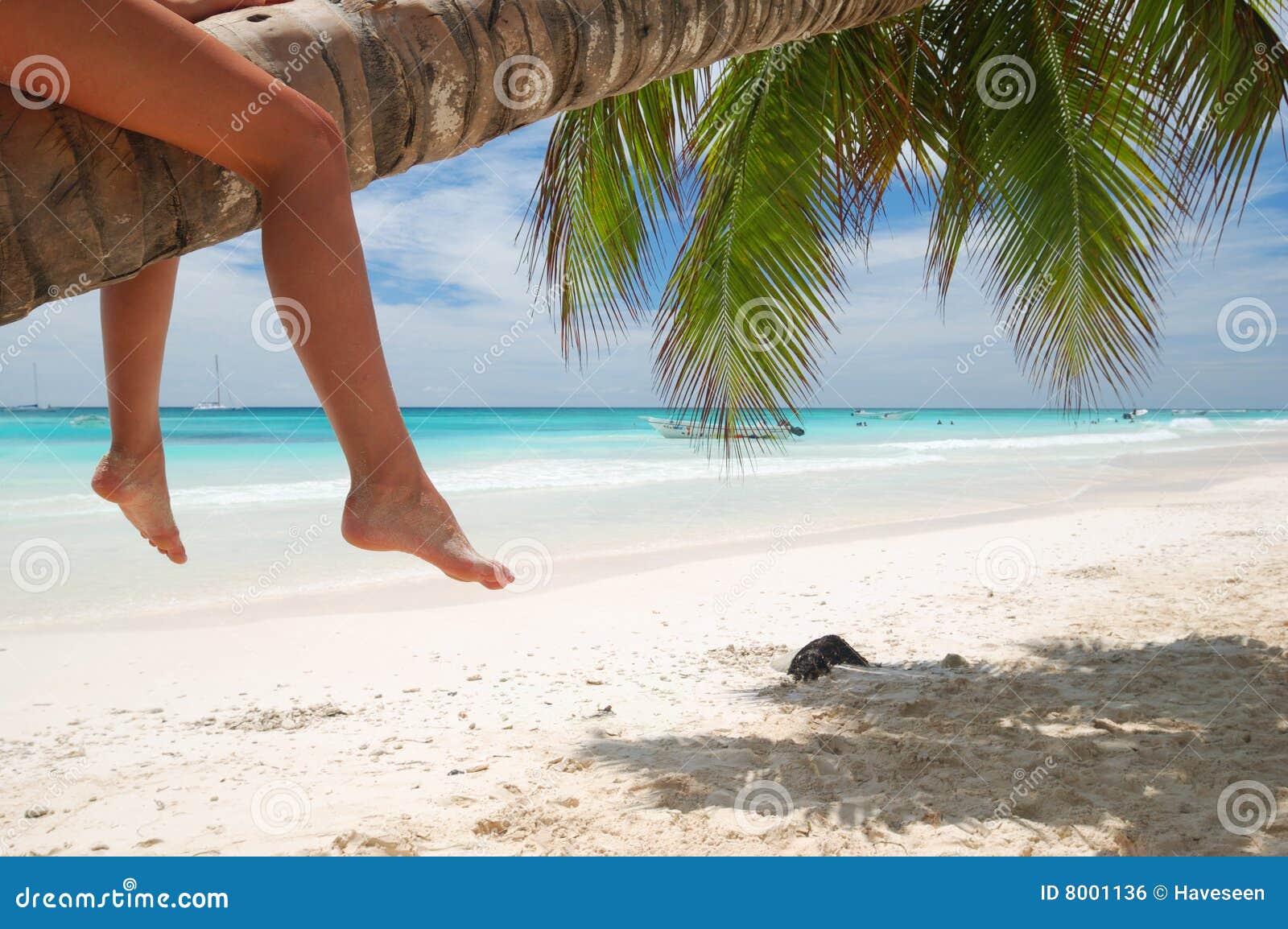 Relax on palm stock photo. Image of republic, idyllic - 8001136