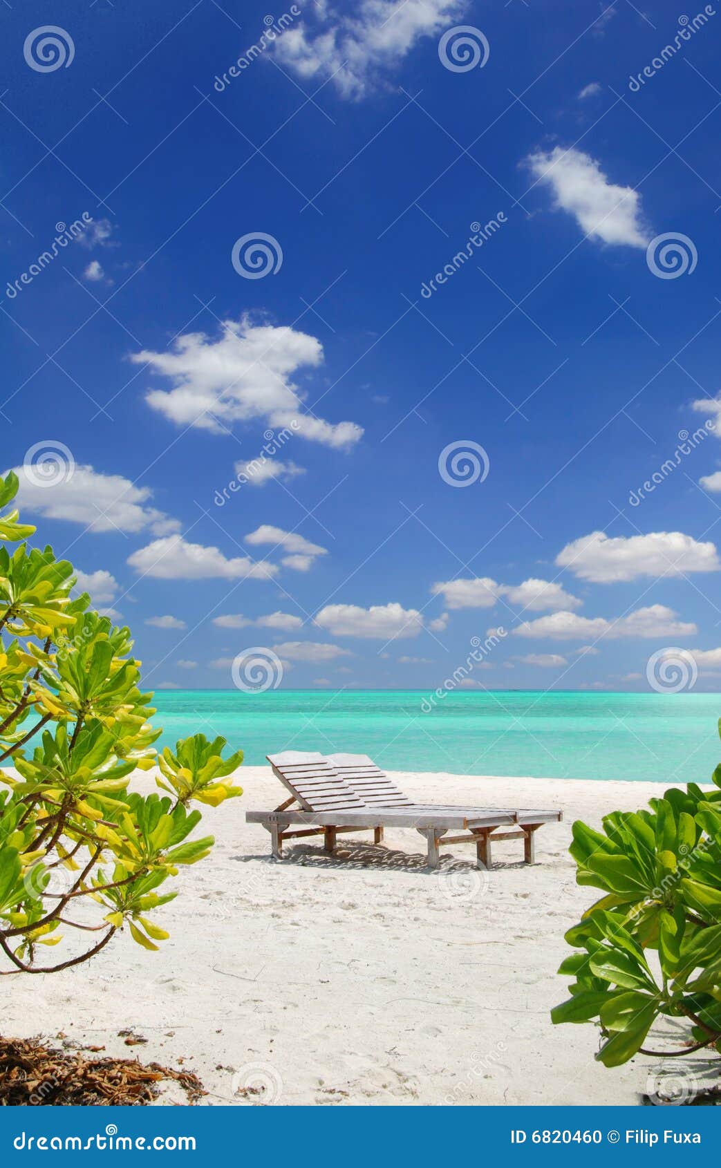 Relax in paradise stock photo. Image of idyllic, calm - 6820460