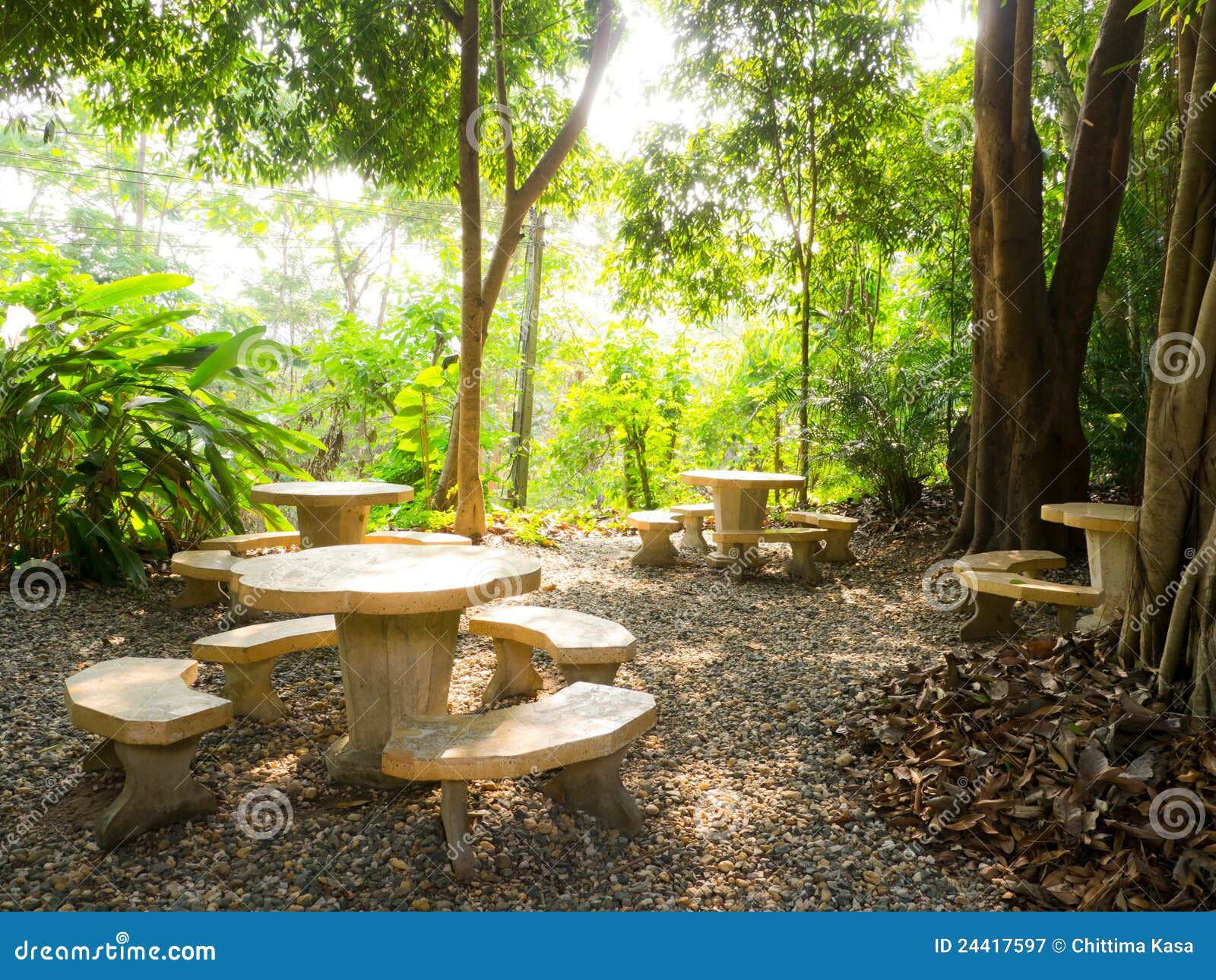 Relax in park stock image. Image of relax, sunlight, bright - 24417597