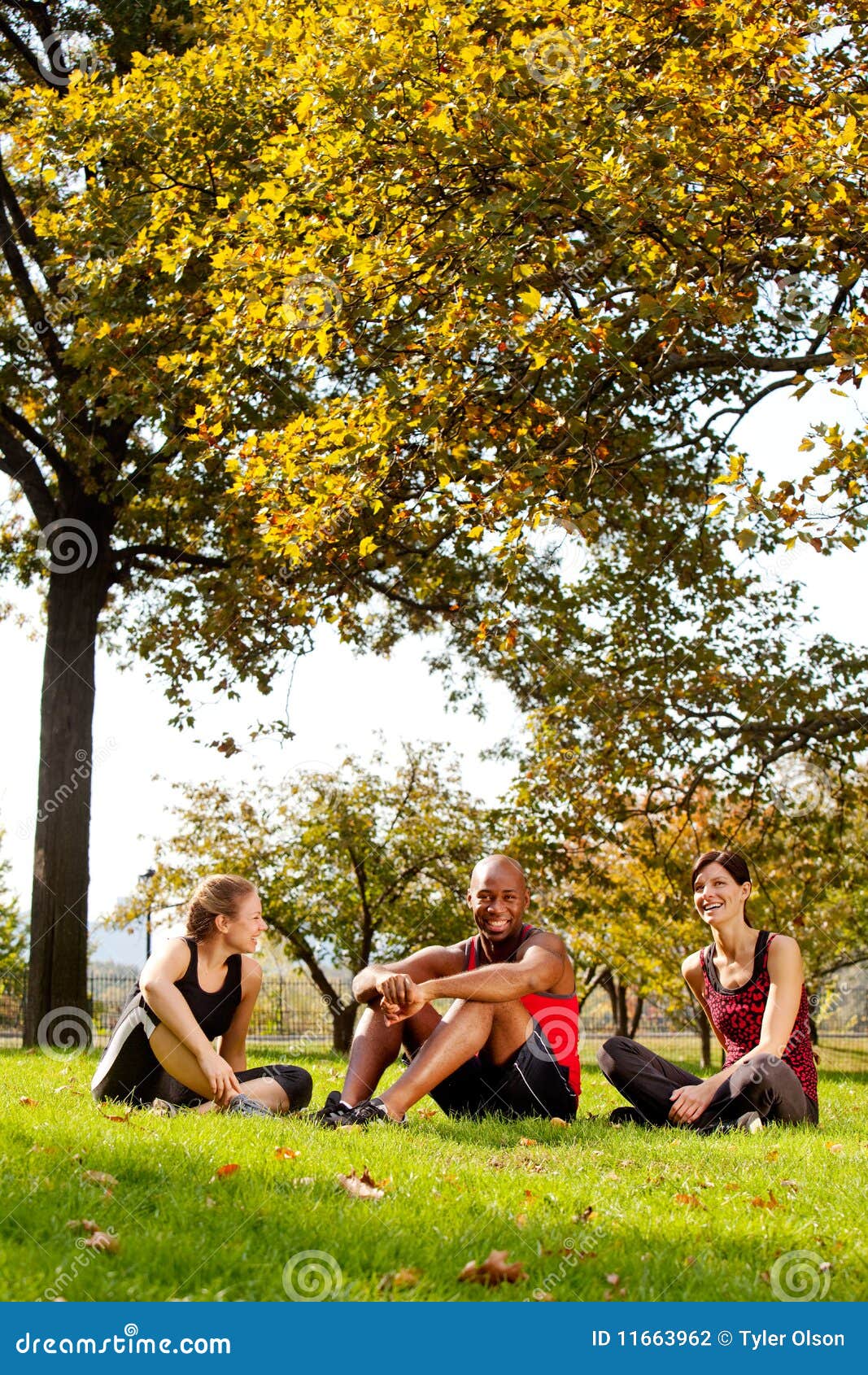 Relax Park Summer stock photo. Image of nature, girl - 11663962