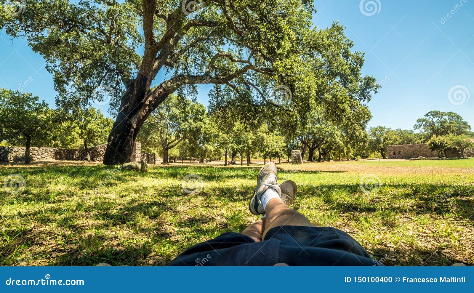 Relax in the park stock photo. Image of green, lifestyle - 150100400