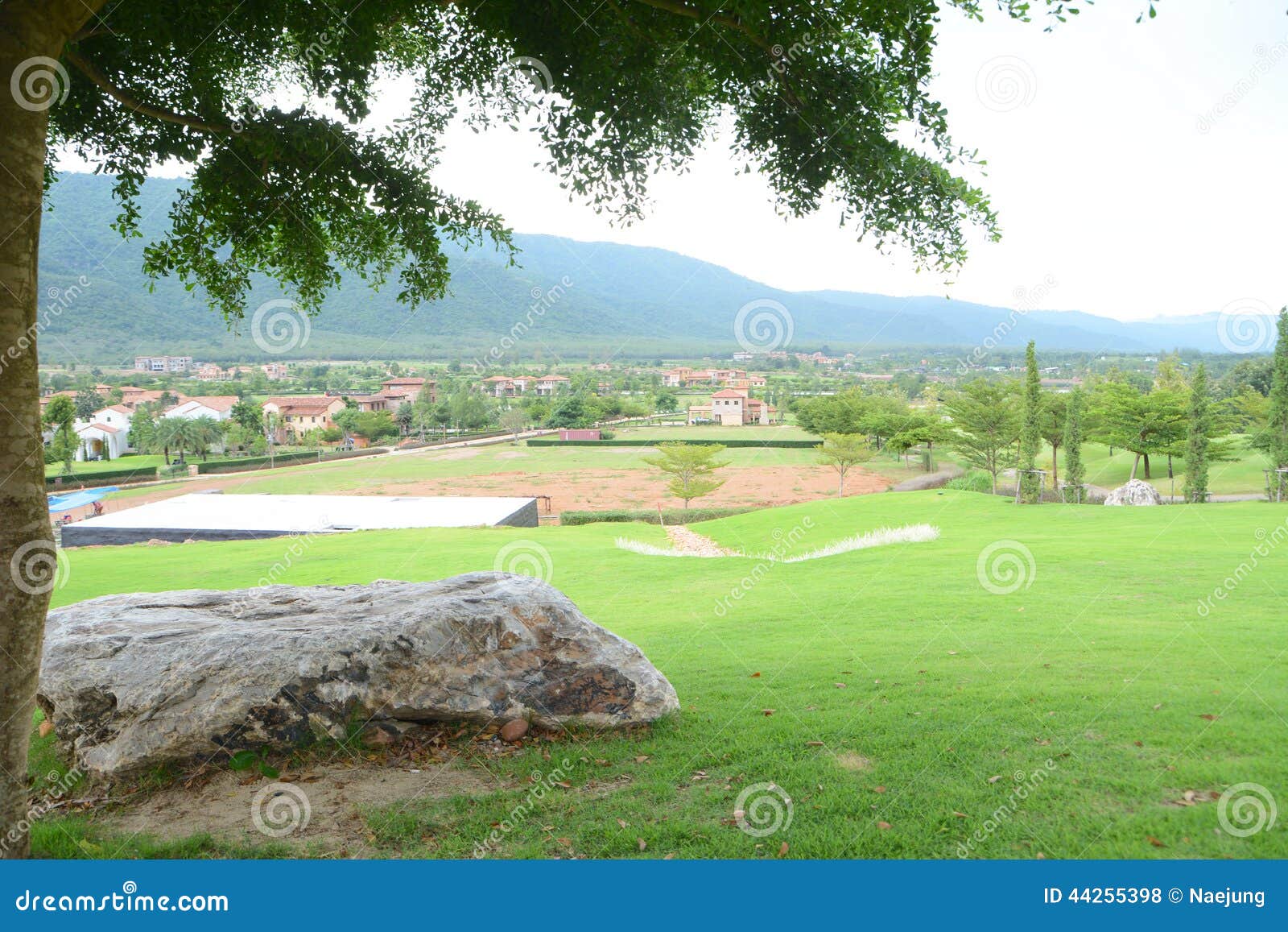 Relax place stock photo. Image of branch, road, root - 44255398