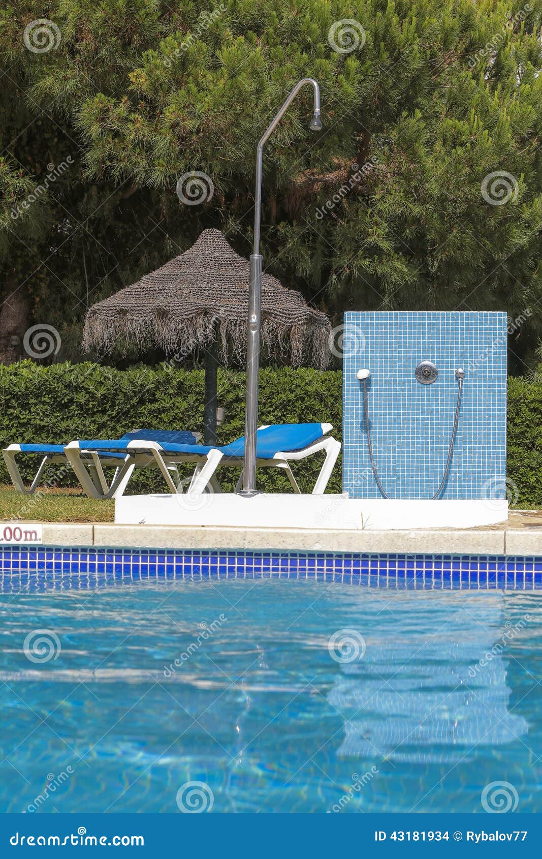Relax by the pool. stock photo. Image of long, attractive - 43181934