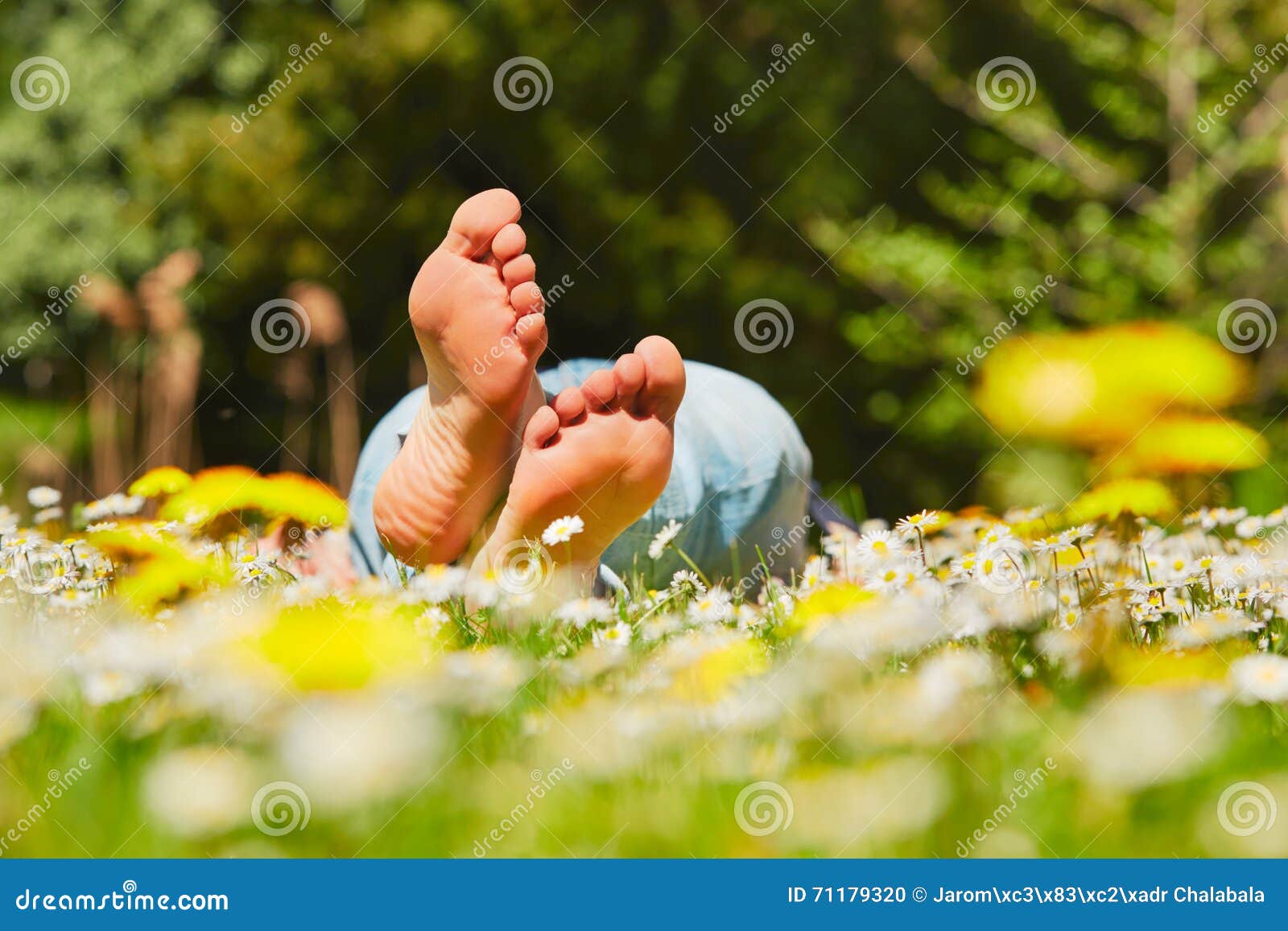 Relax in sunny day stock photo. Image of freshness, beautiful - 71179320