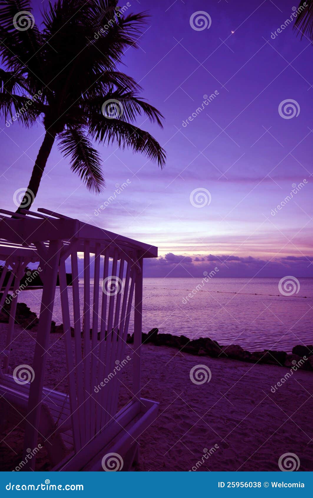 Relax in the Sunset stock photo. Image of sand, silent - 25956038