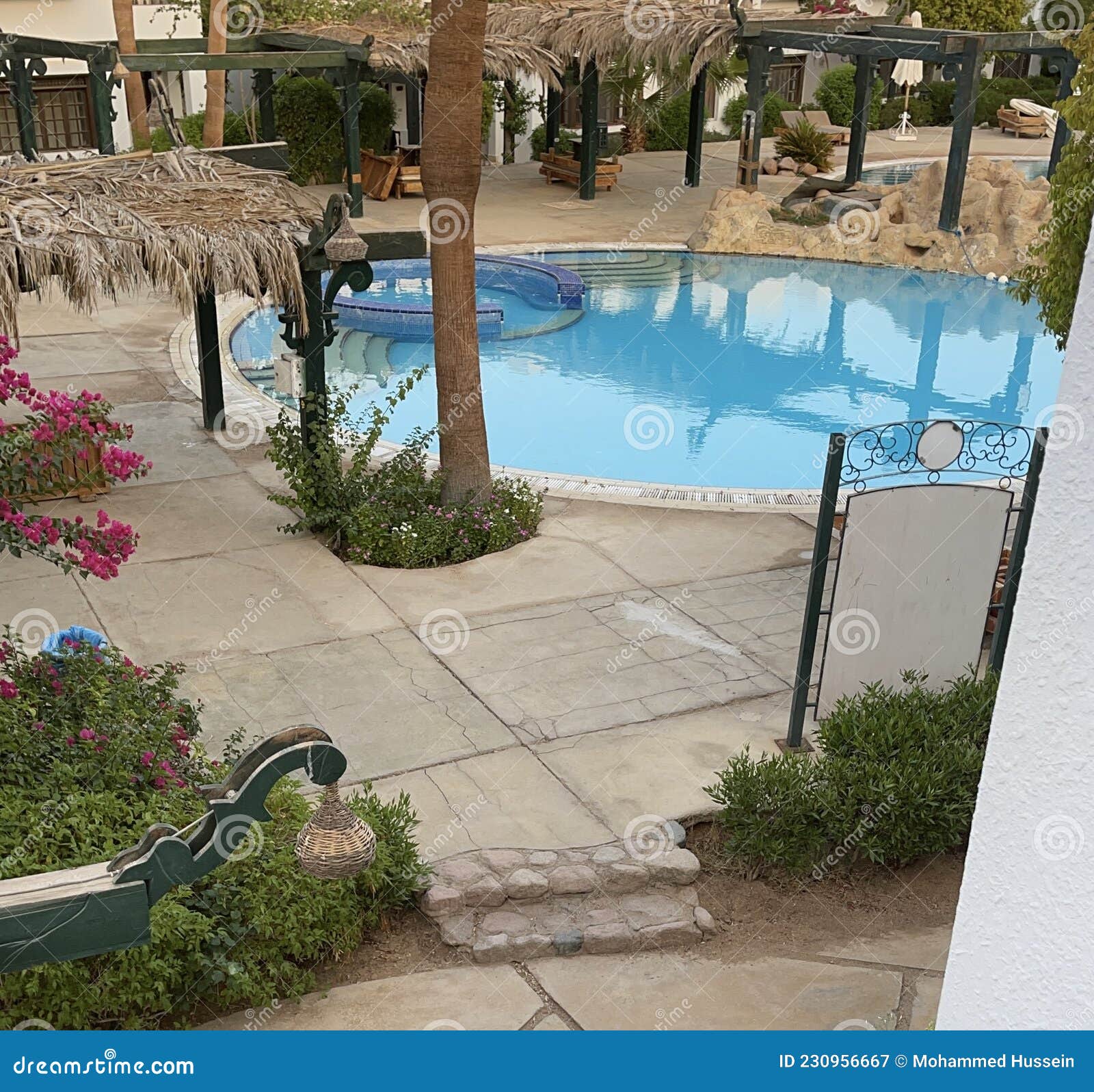 Swimming pool stock image. Image of relax, pool, swim - 230956667