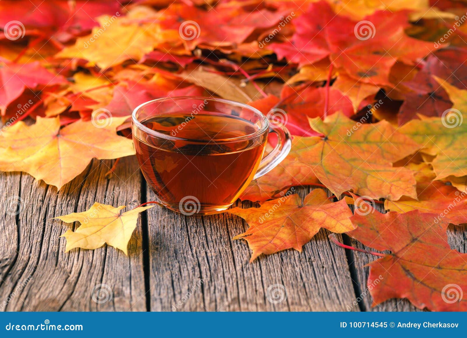 Relax Time in Fall Season. Red Maple Leaf on Table Stock Image - Image ...