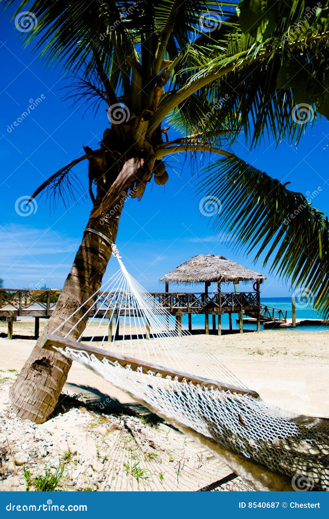 Relax on a tropical beach! stock image. Image of touristy - 8540687