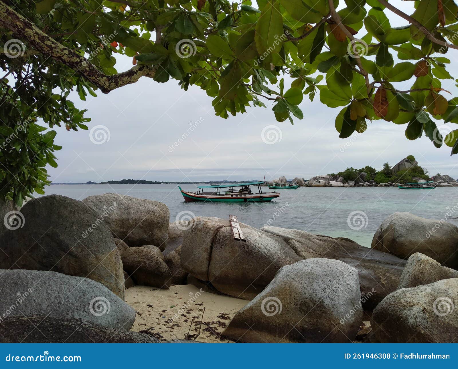 Relax Under the Trees by the Beach Stock Photo - Image of tree, coast ...