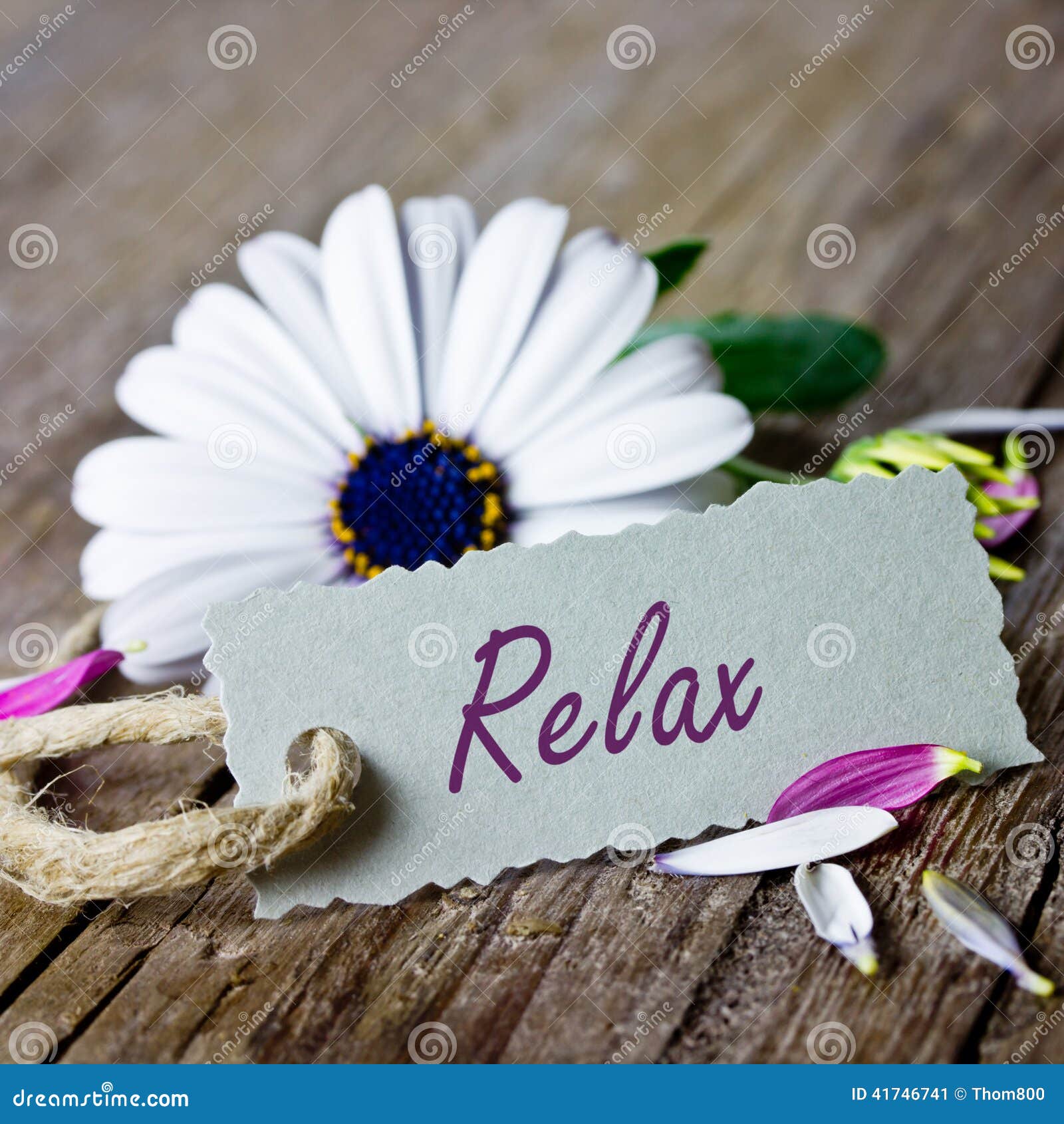 Relax stock image. Image of concept, flowers, relaxation - 41746741