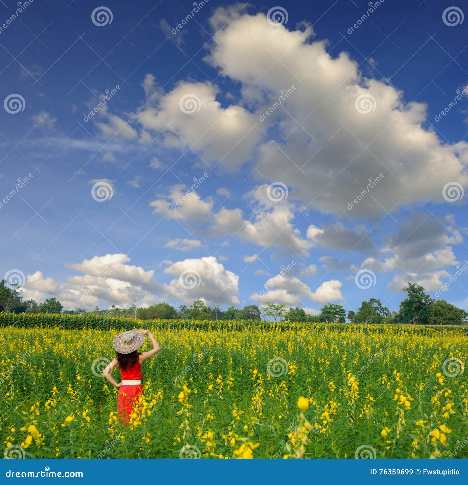 Relax Woman in Yellow Flower Field and Blue Sky Stock Image - Image of ...