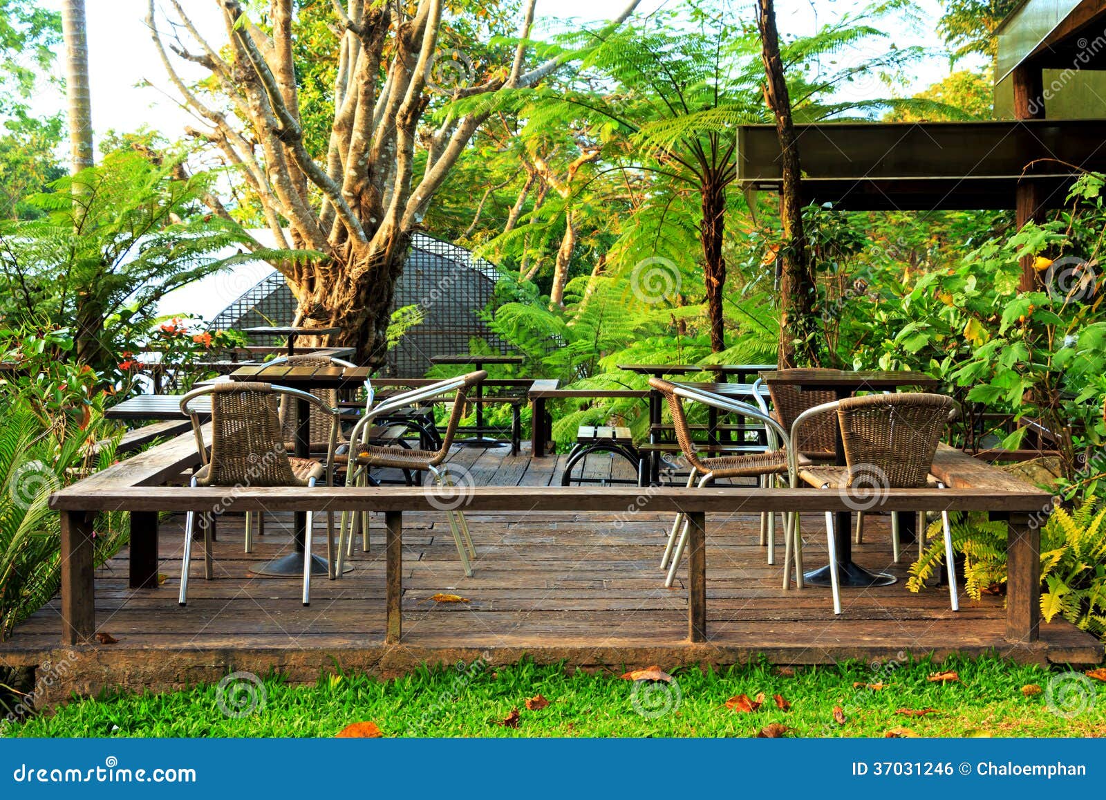 Relaxation Area in a Garden Stock Photo - Image of flowers, grass: 37031246