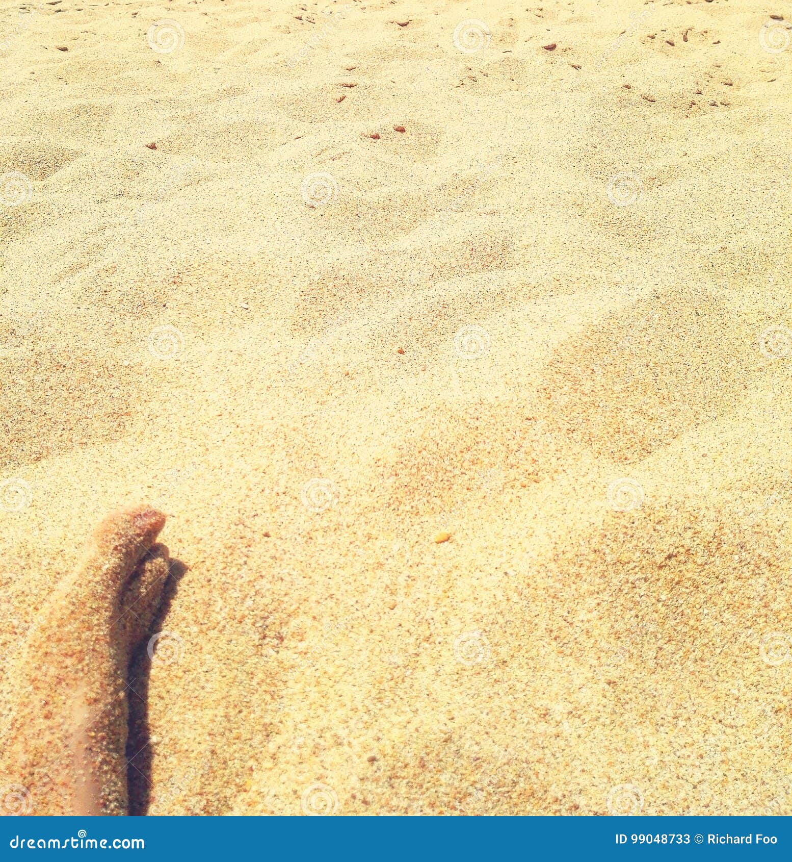Sand and foot stock image. Image of life, sunbathing - 99048733
