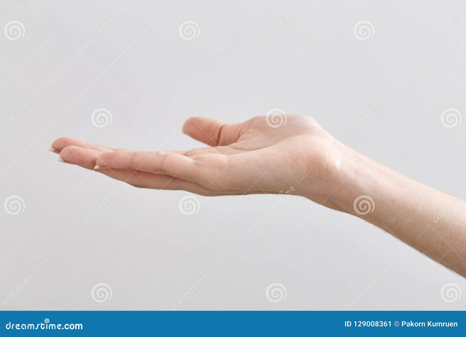 Empty female hand on white stock image. Image of assistance - 129008361