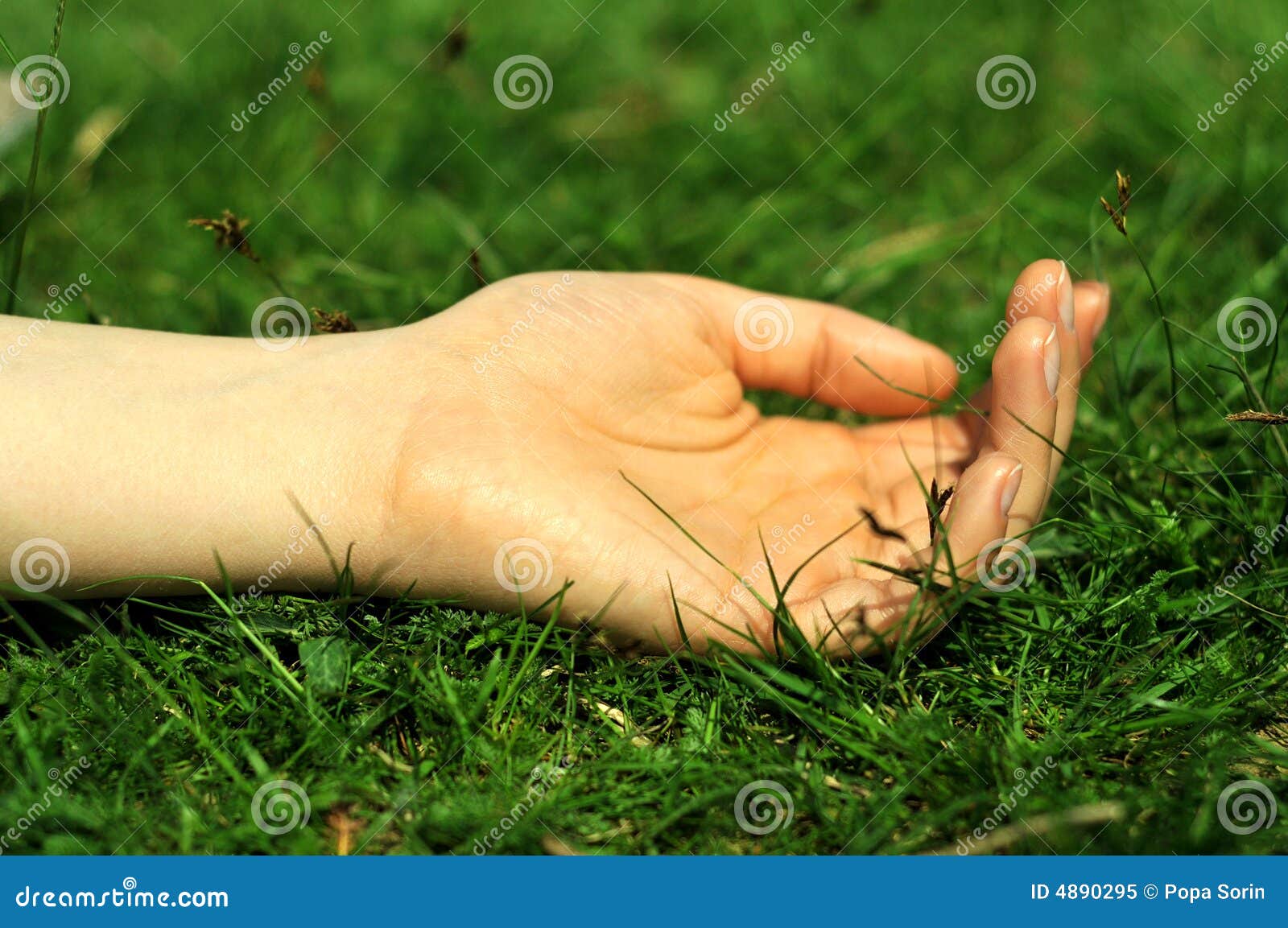 Relaxed hand stock image. Image of plant, sleep, human - 4890295