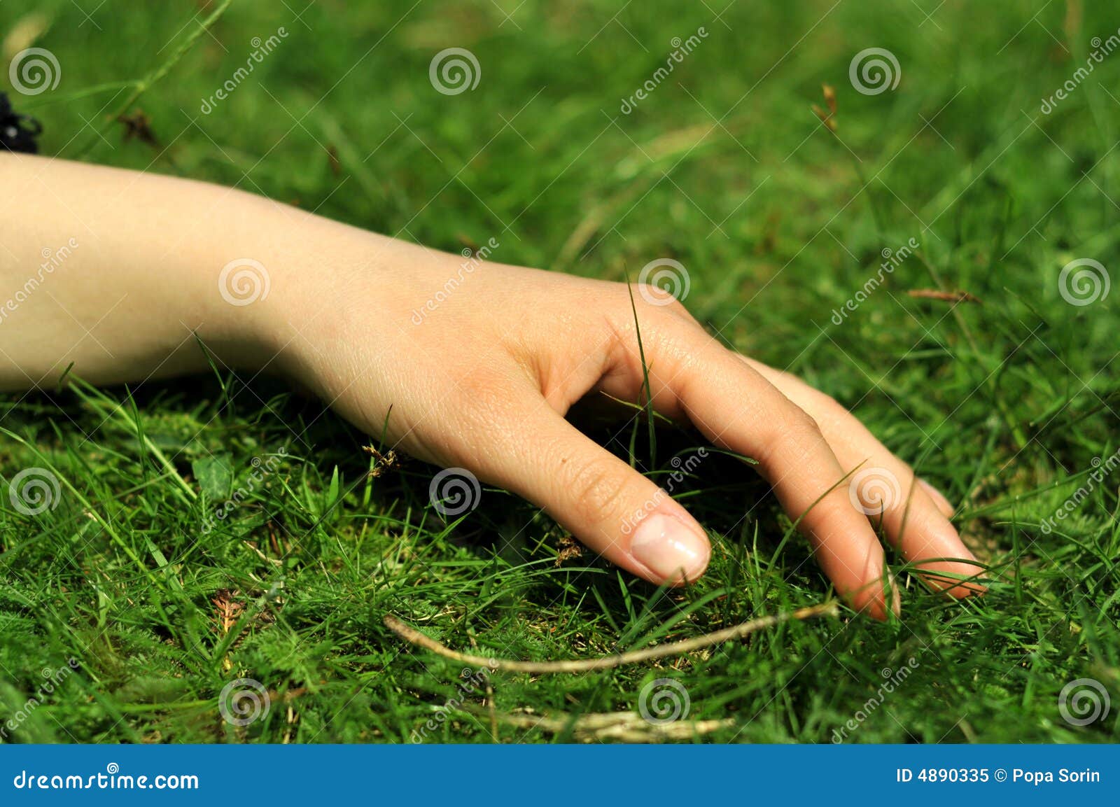 Relaxed hand stock image. Image of grass, sunbathe, human - 4890335
