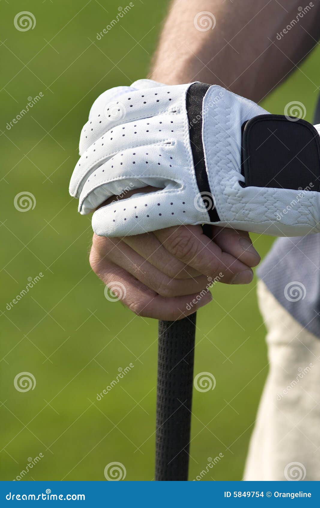 Relaxed Hands on Golf Club - Vertical Stock Photo - Image of escape ...