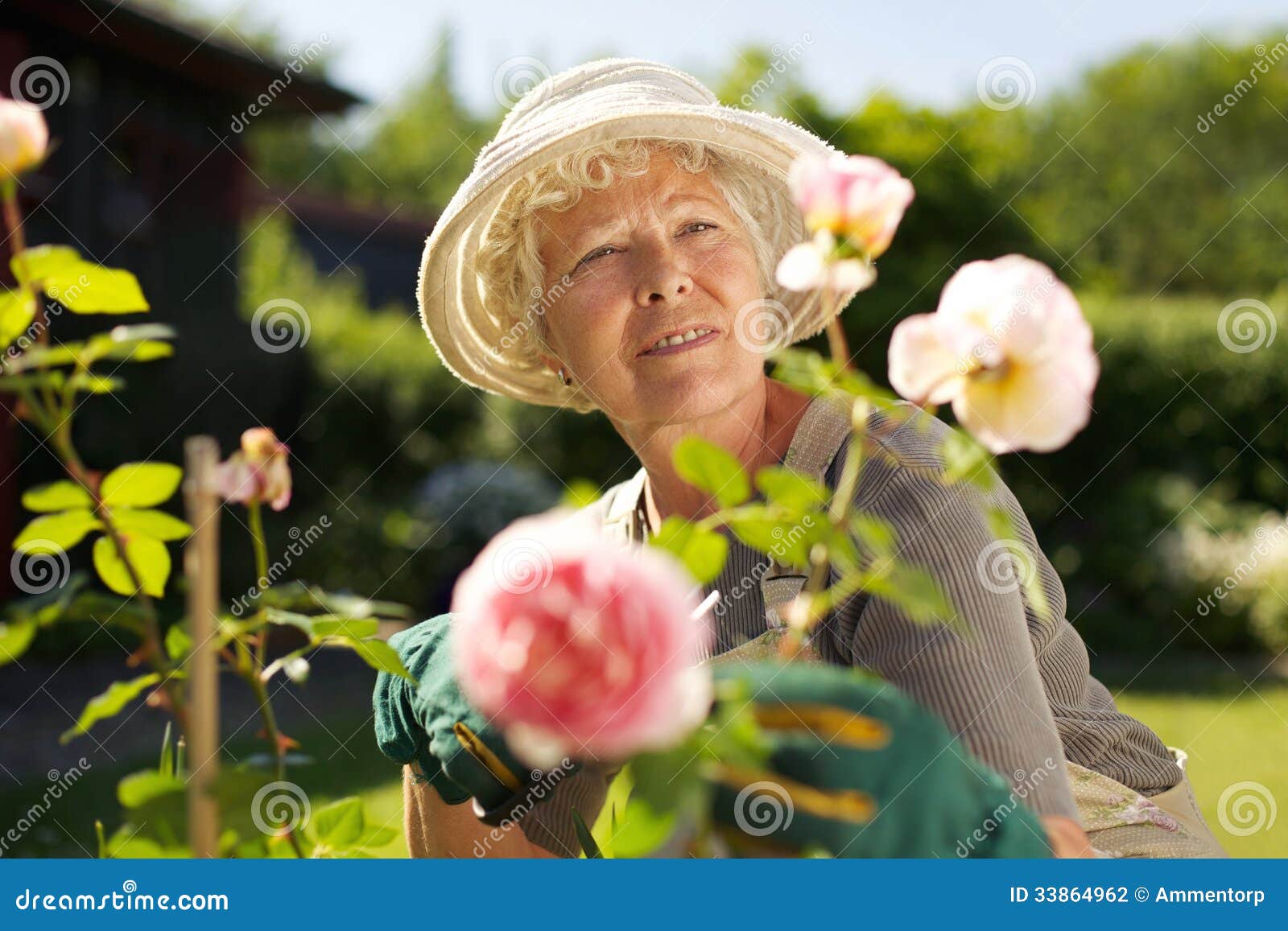 Relaxed Mature Lady Working in Her Garden Stock Photo - Image of elder ...