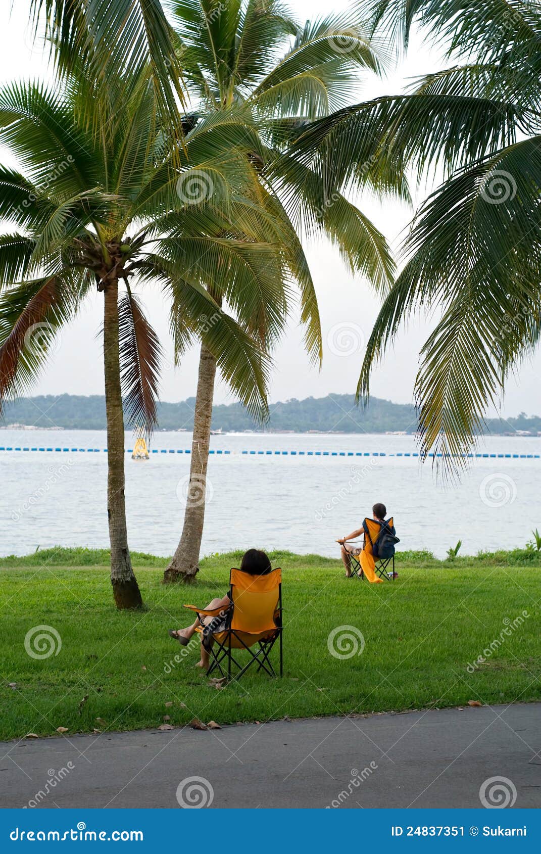 Relaxing stock image. Image of plants, scenes, relief - 24837351