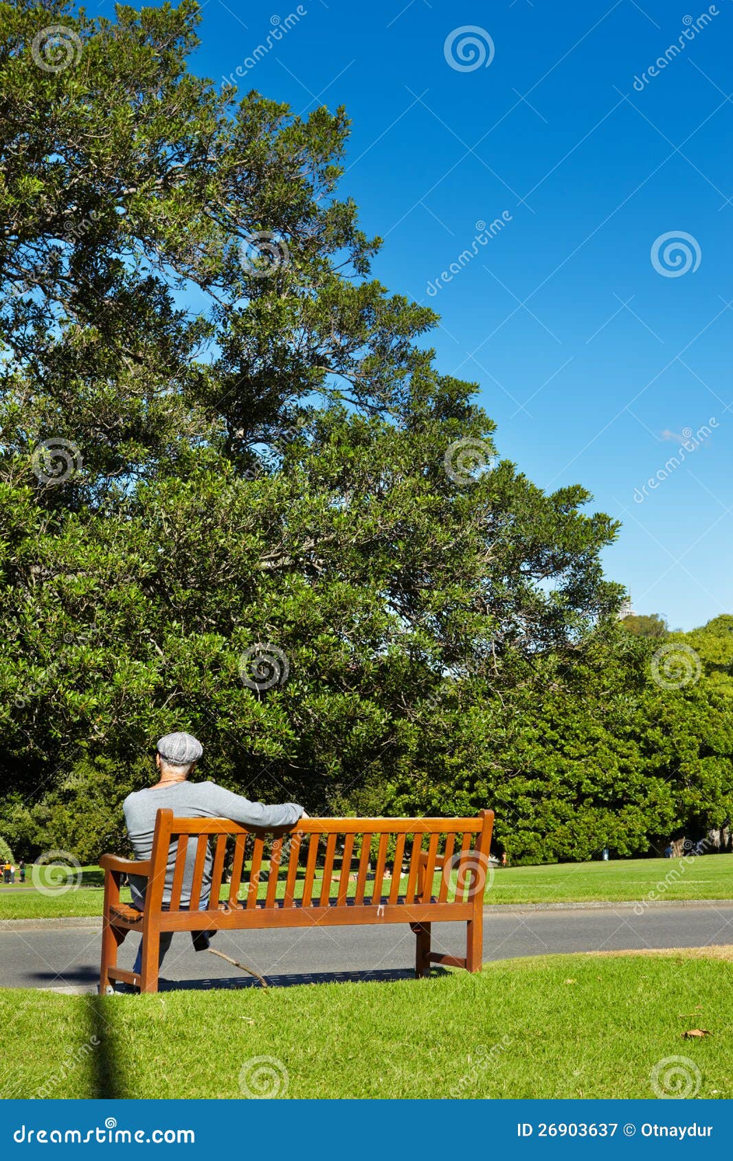 Relaxing editorial photography. Image of tree, clear - 26903637