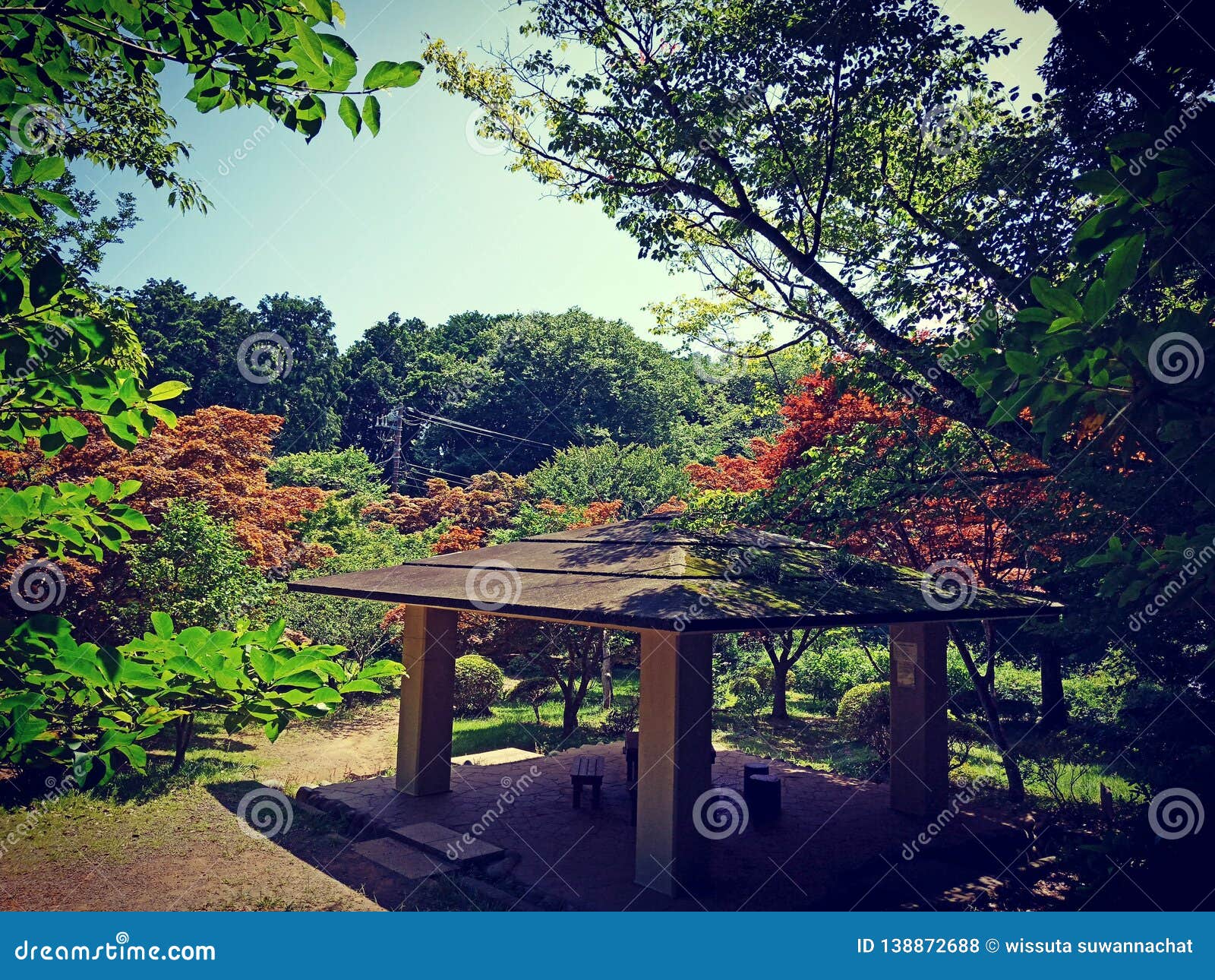 Relaxing Area in Park, Japan Stock Photo - Image of midwest, nature ...