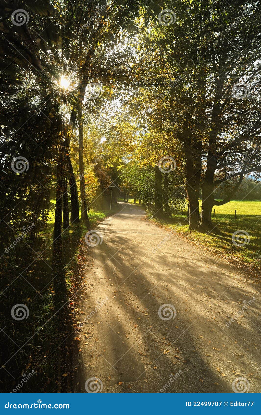 Relaxing Atmosphere in the Park in the Morning Stock Image - Image of ...