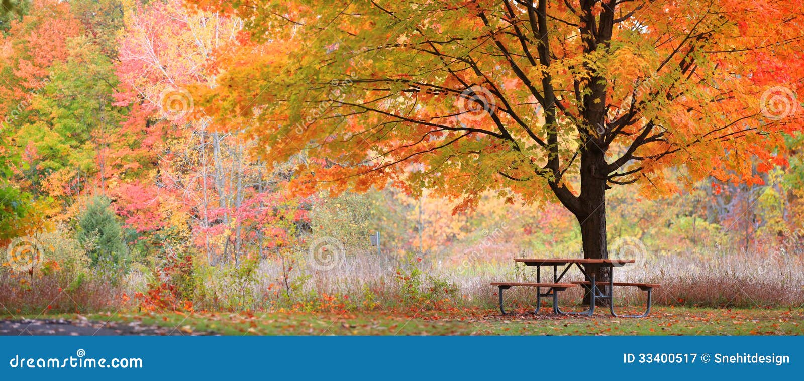 Relaxing autumn scene stock image. Image of scene, panoramic - 33400517