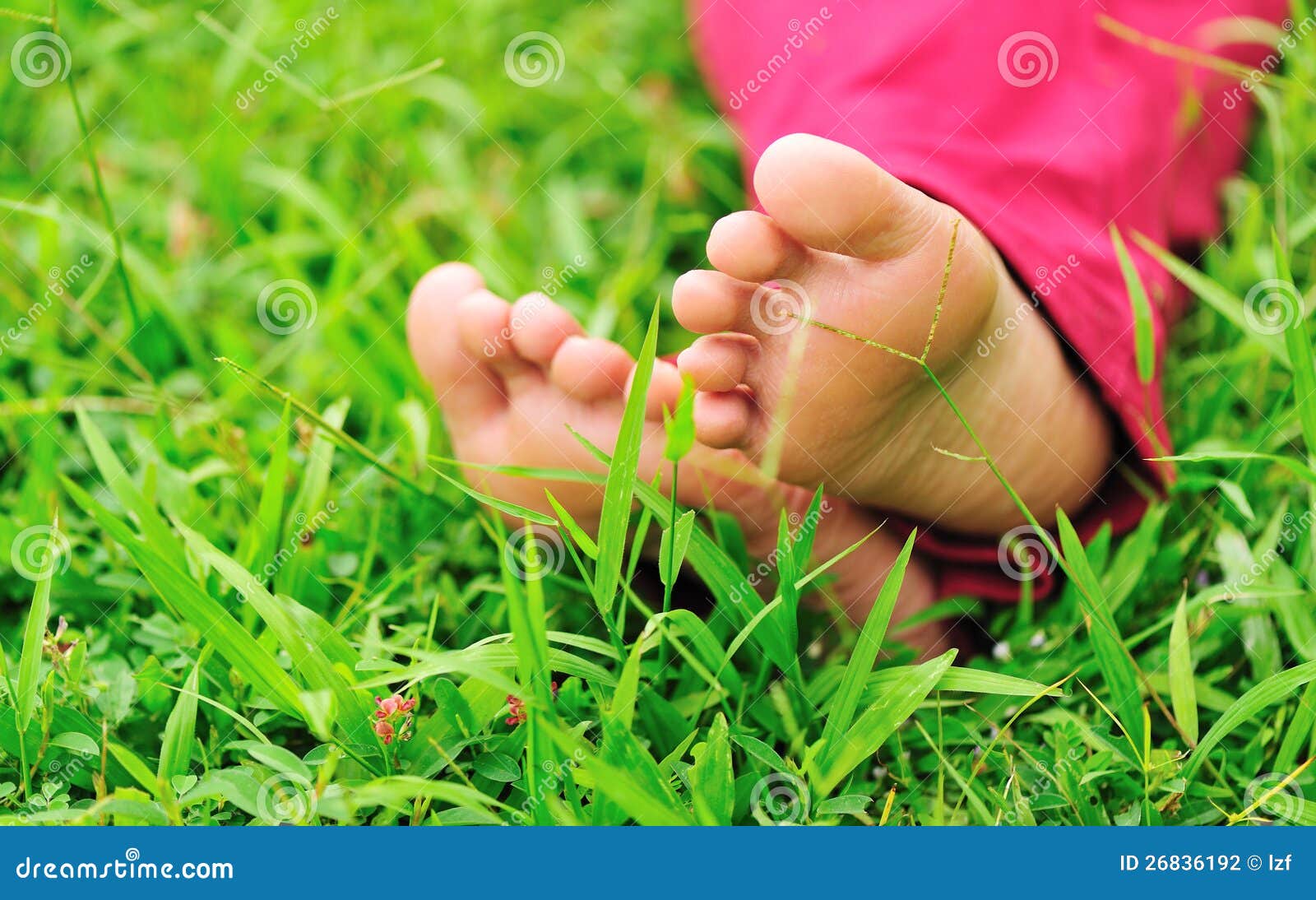 Relaxing feet stock photo. Image of grass, nature, casual - 26836192
