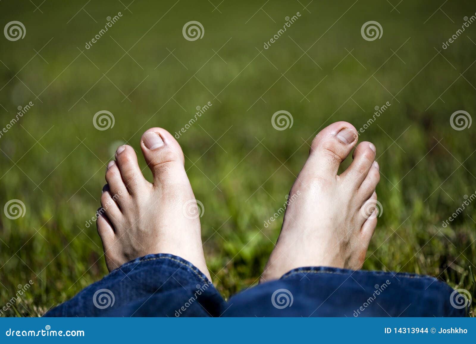 Relaxing Feet on Grass stock photo. Image of carefree - 14313944